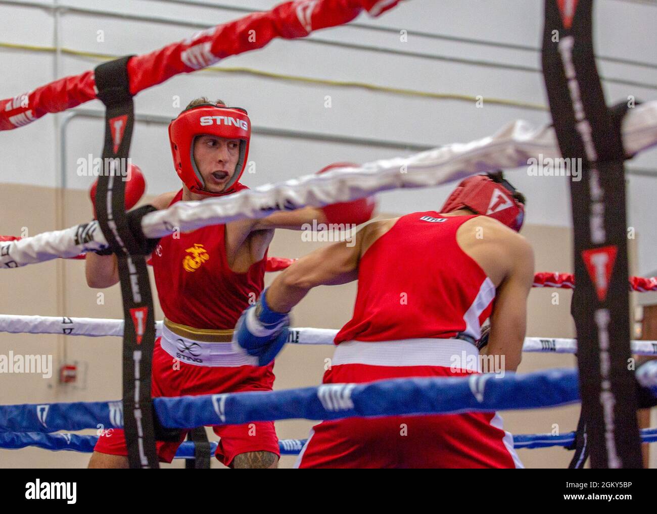All marine boxing team hi-res stock photography and images - Alamy