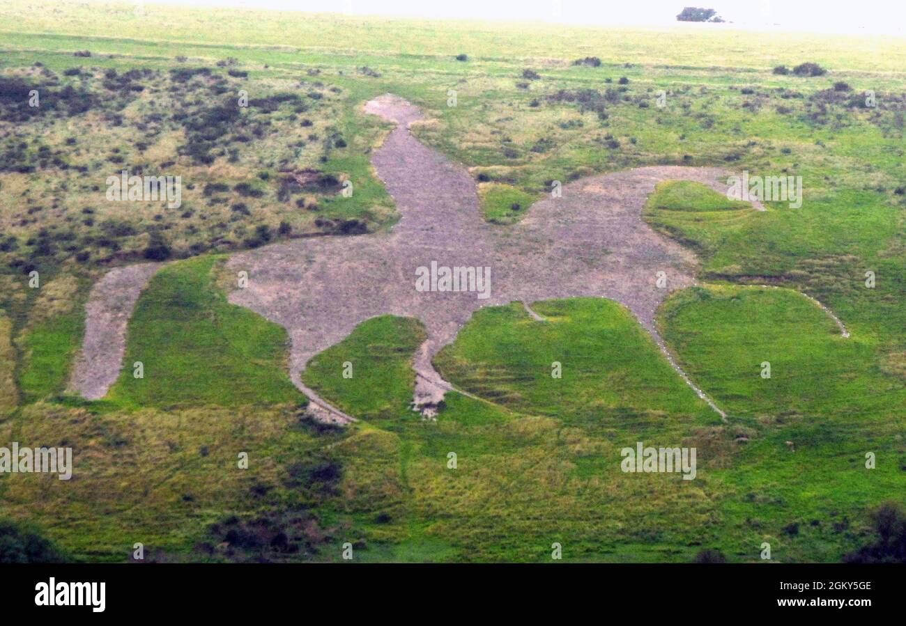 The not so white horse at Osmington, Weymouth damaged by Anneka Rice ...