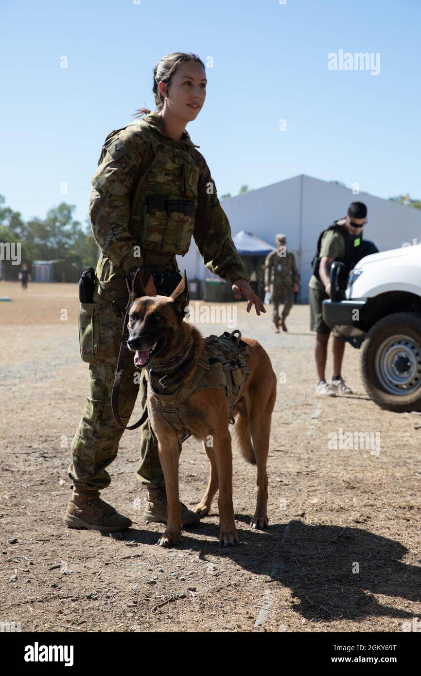 Australian Army Lance Cpl. Codey Merlino, a military police dog handler ...