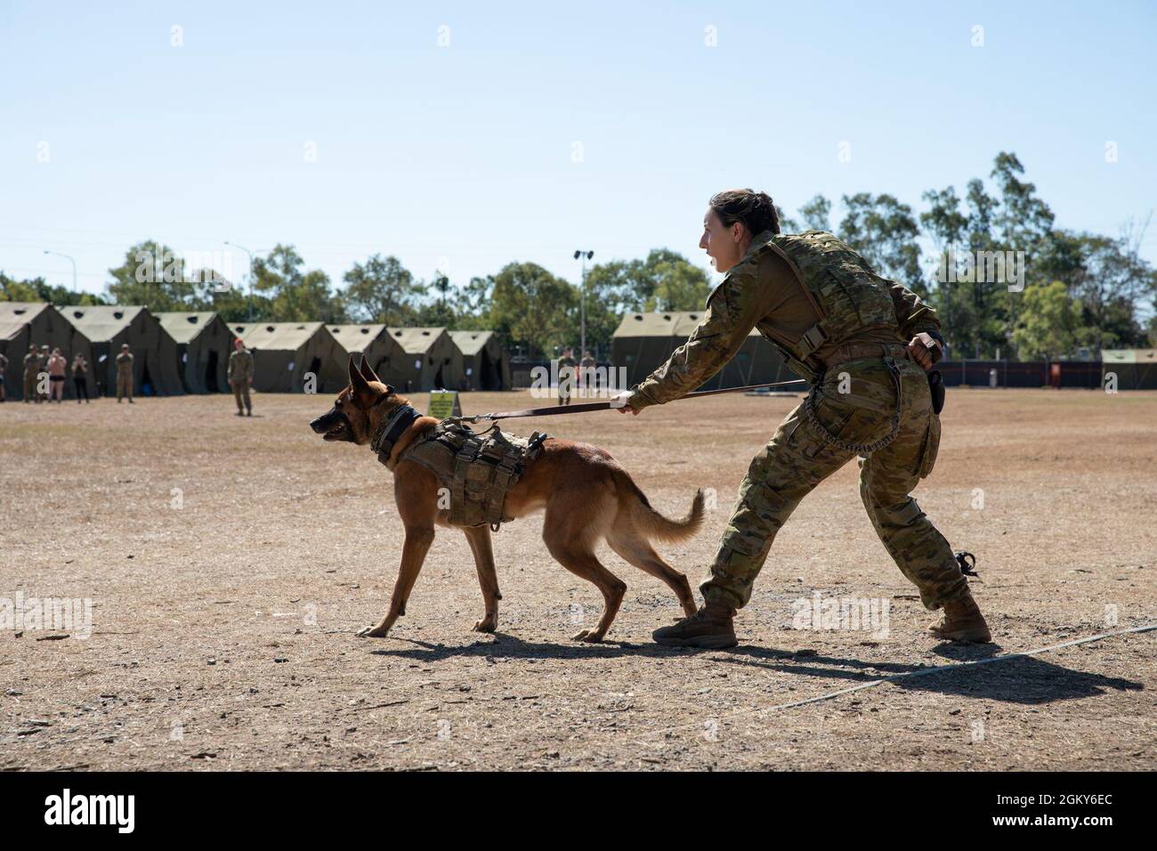 Australian Army Lance Cpl. Codey Merlino, a military police dog handler ...