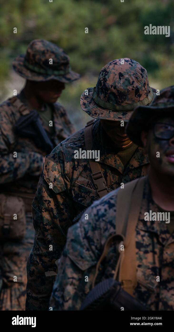 U.S Marines with the 2nd Battalion, 24th Marine Regiment and 4th Combat ...
