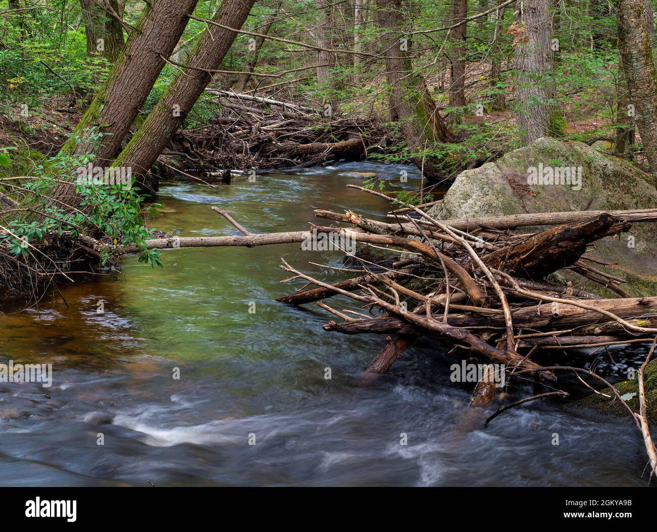 Pearl hill state park hi-res stock photography and images - Alamy