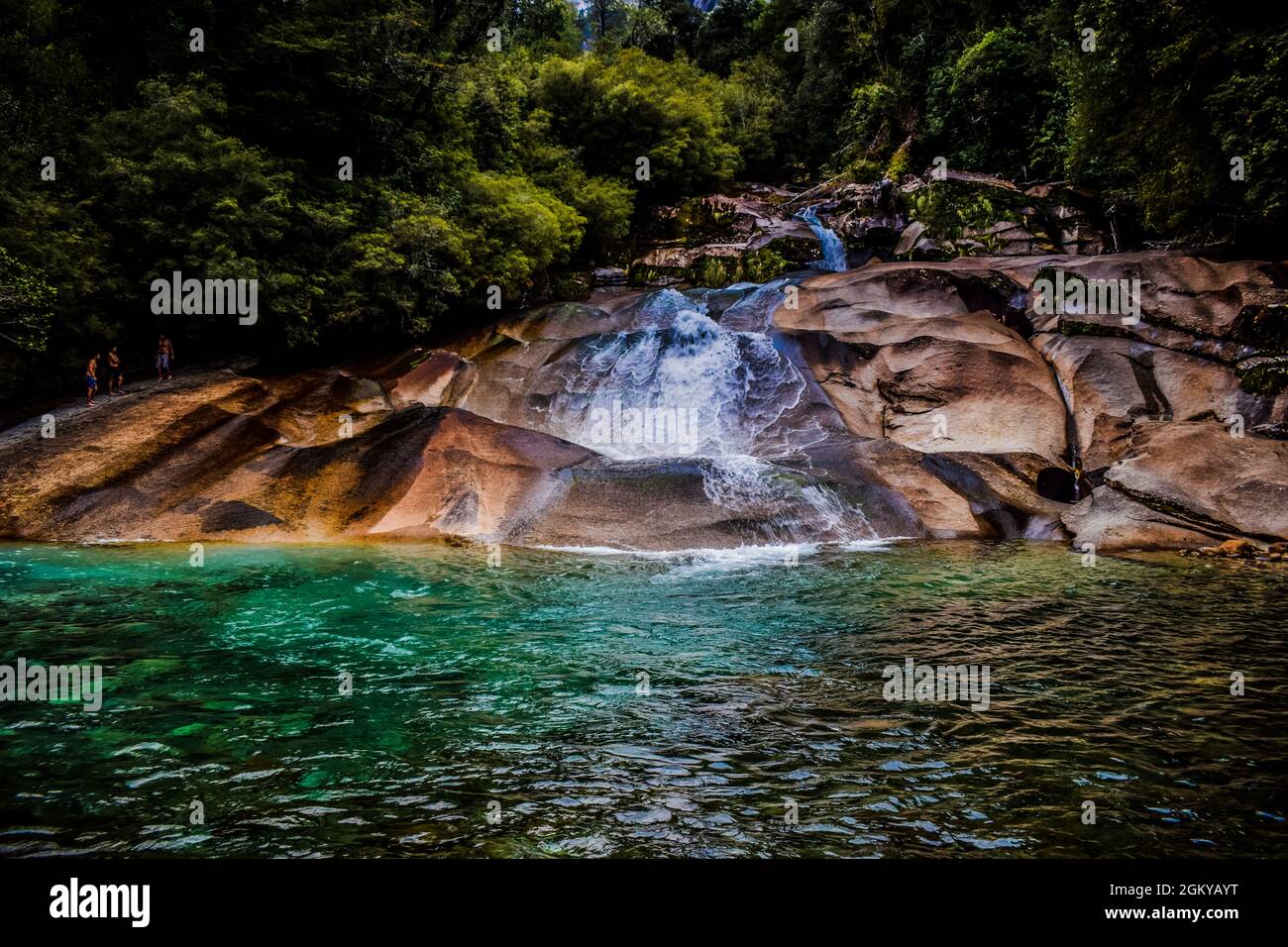 River surrounded by rocks and greenery in a forest in the daylight ...