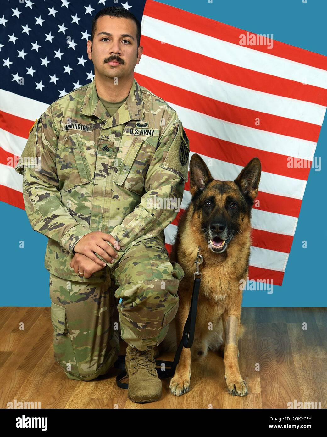 U.S. Army military working dog ARAN X169, assigned to the USAG Italy ...
