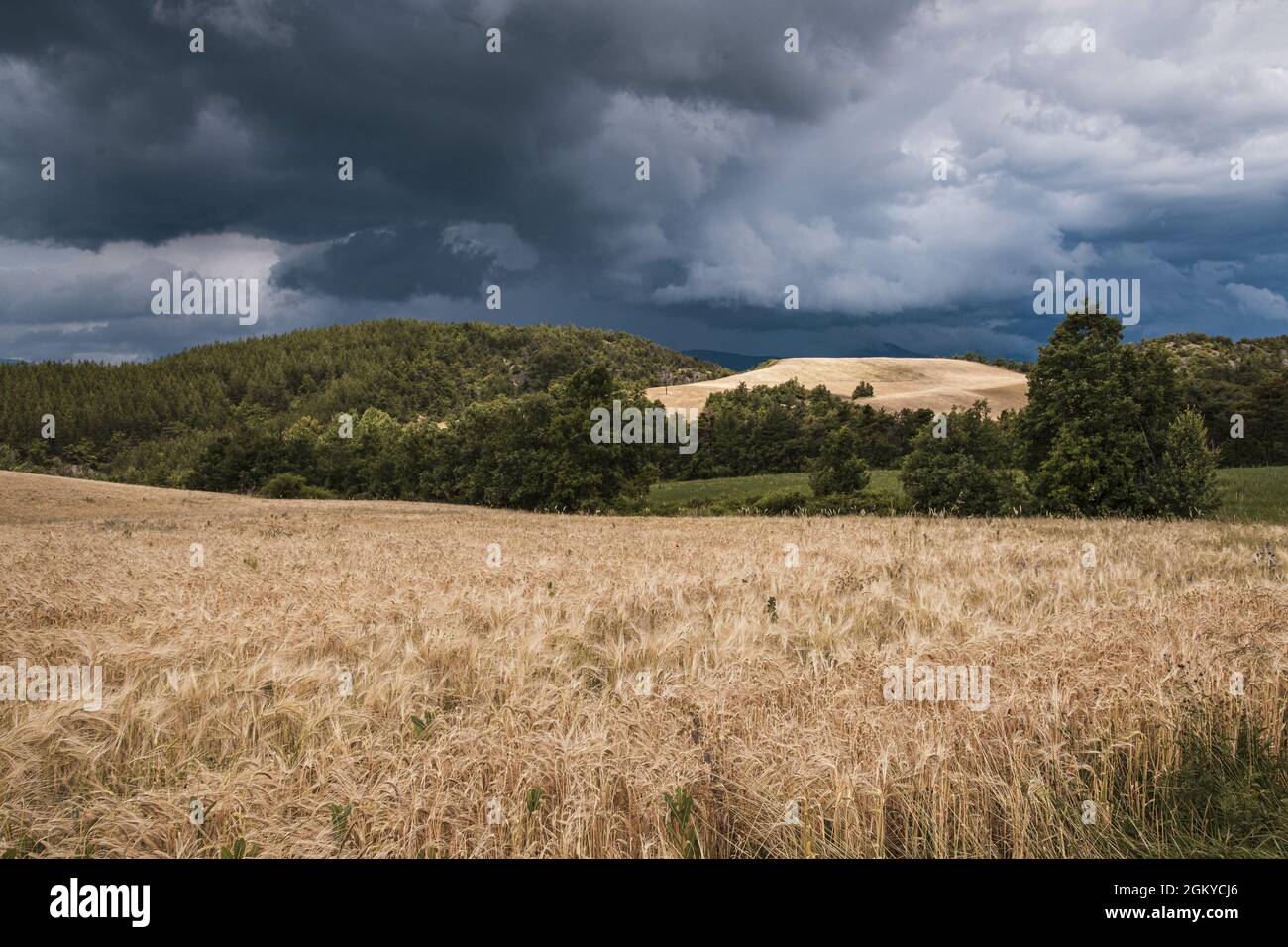 Buech valley around Serres in France Stock Photo - Alamy