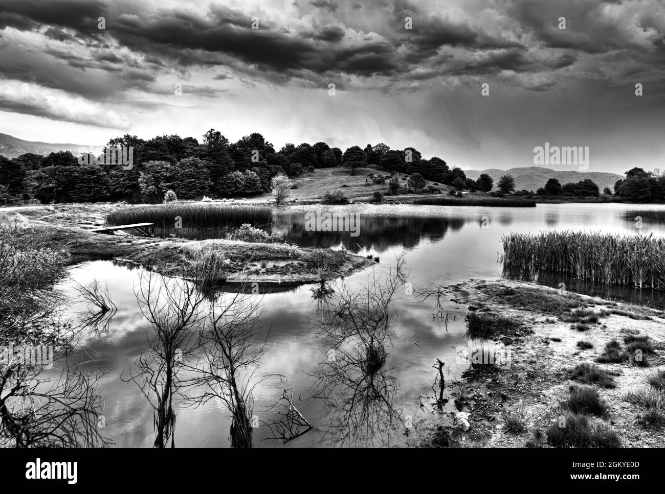 Grayscale shot of a lake surrounded by trees and bushes under a stormy ...