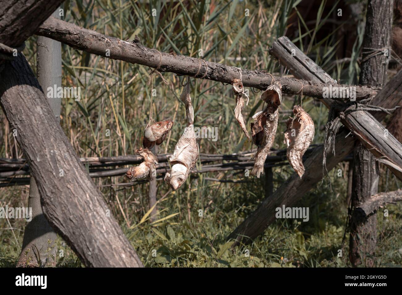 Vinca culture hi-res stock photography and images - Alamy