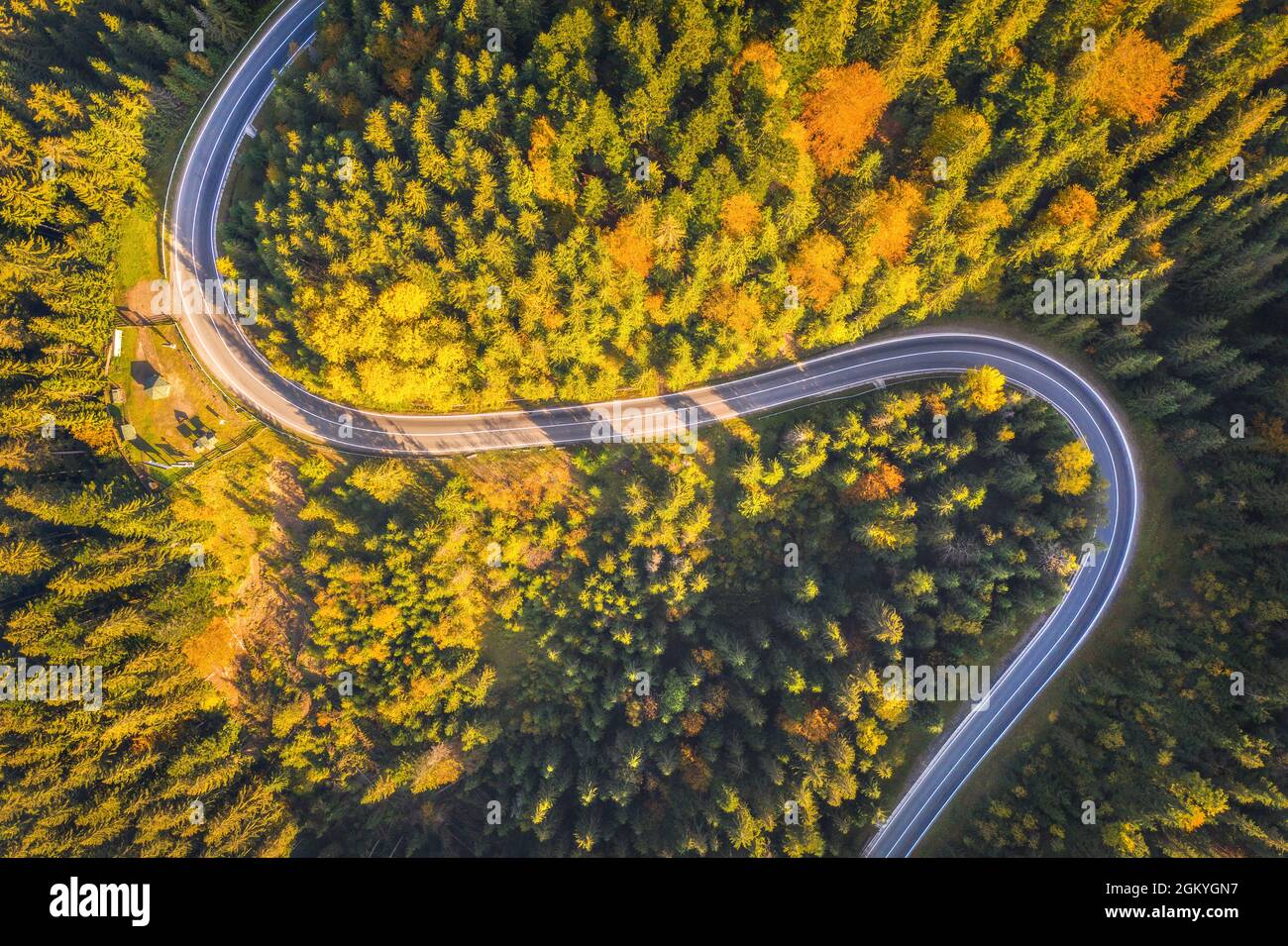 Beautiful forest road view hi-res stock photography and images - Alamy