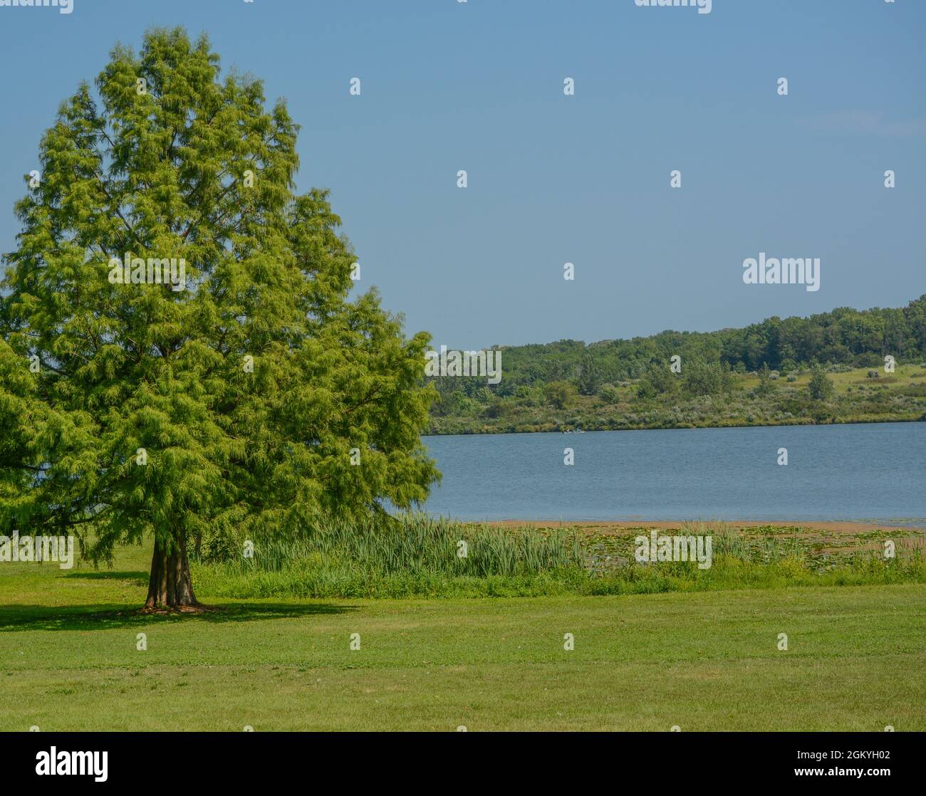 The landscape of Shabbona Lake State Park in Dekalb County, Illinois ...