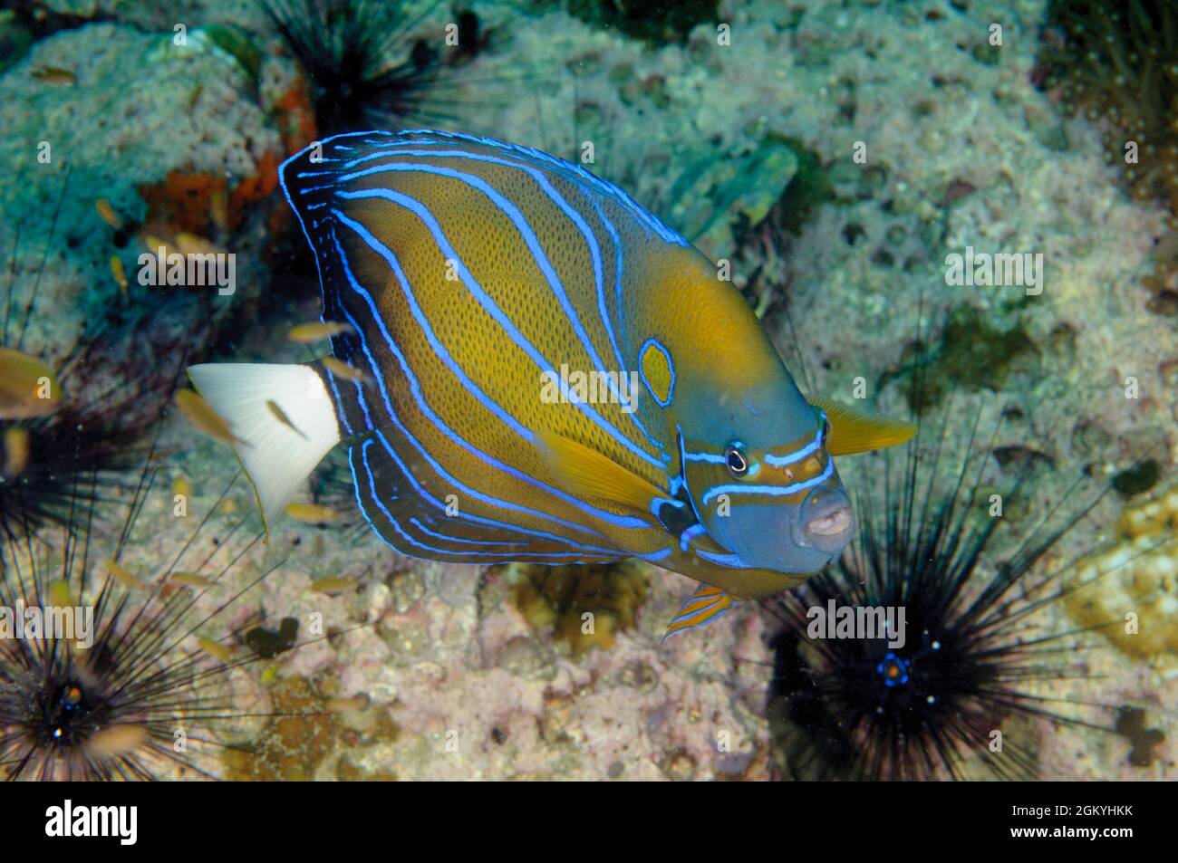 15 7m hi-res stock photography and images - Alamy