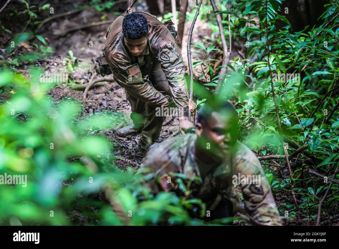 36 infantry division hi-res stock photography and images - Alamy