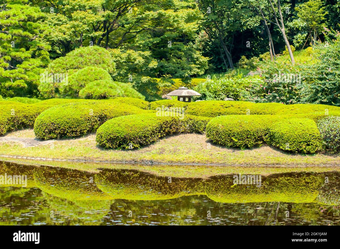 Traditional japanese garden in Tokyo, Japan Stock Photo - Alamy