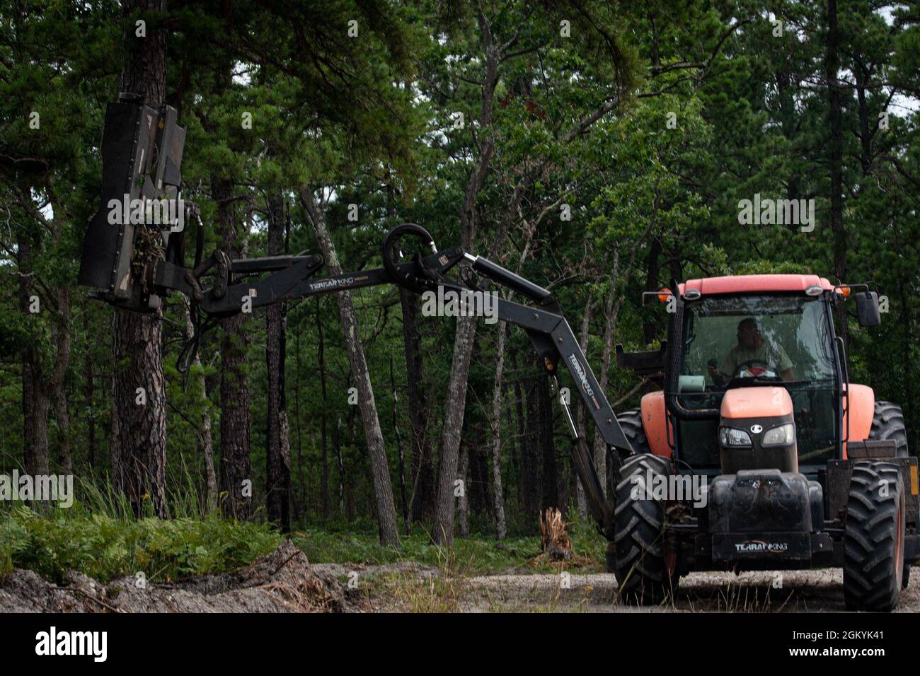 Range support personnel clear trees during fire break maintenance at ...