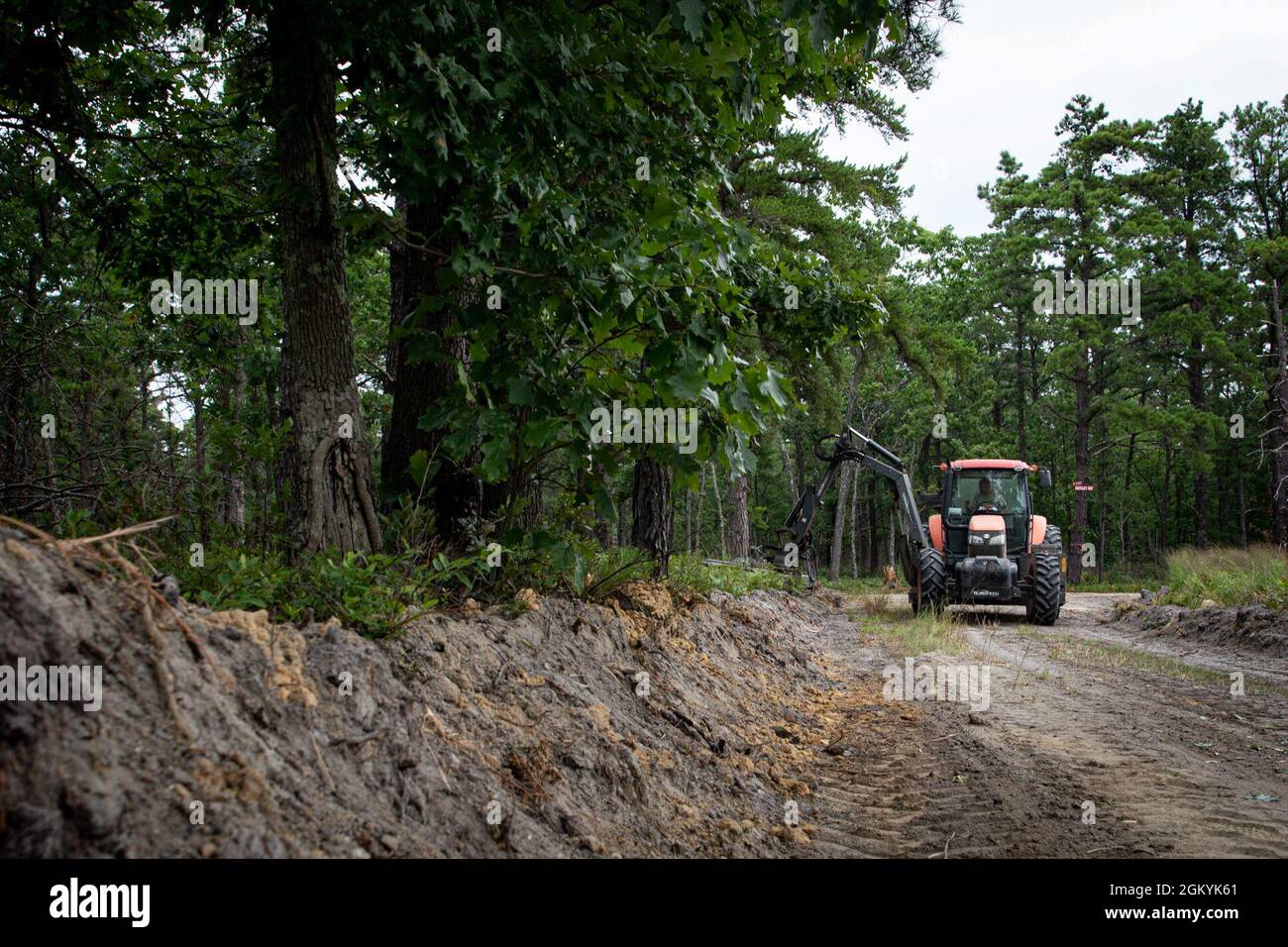 Range support personnel clear trees during fire break maintenance at ...