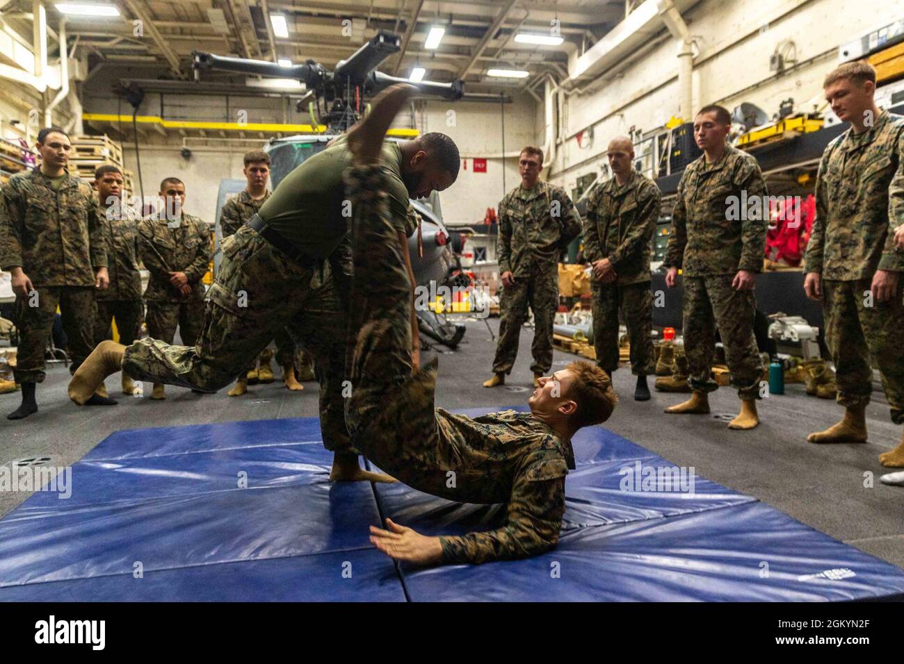 U.S. Marines with Marine Medium Tiltrotor Squadron 265 (Reinforced ...