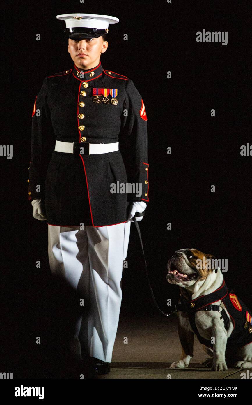Lance Cpl. Rebecca Tongson, mascot handler, Marine Barracks Washington ...