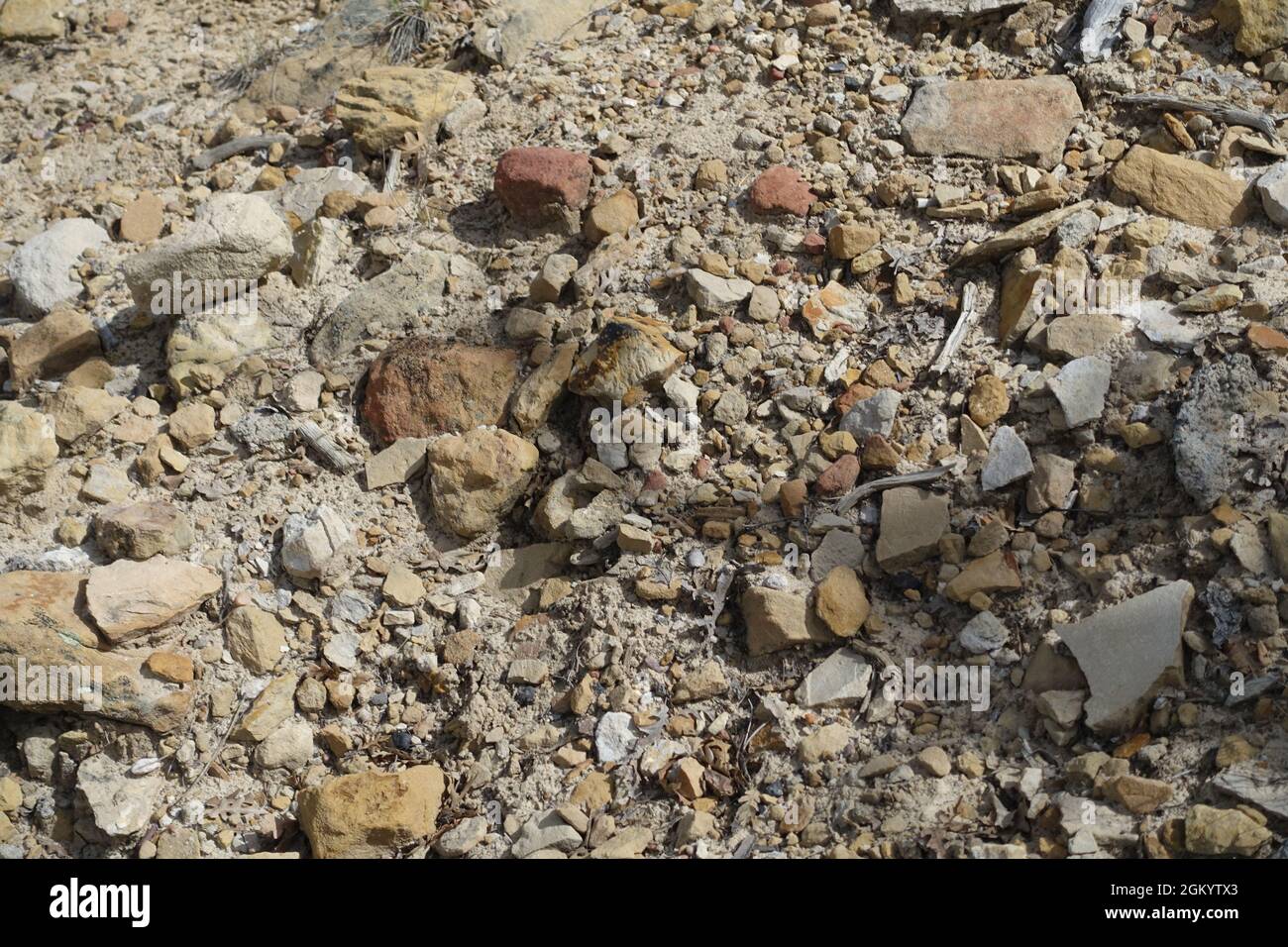 The dried arid lands of the South West offer a glimpse into natures ...