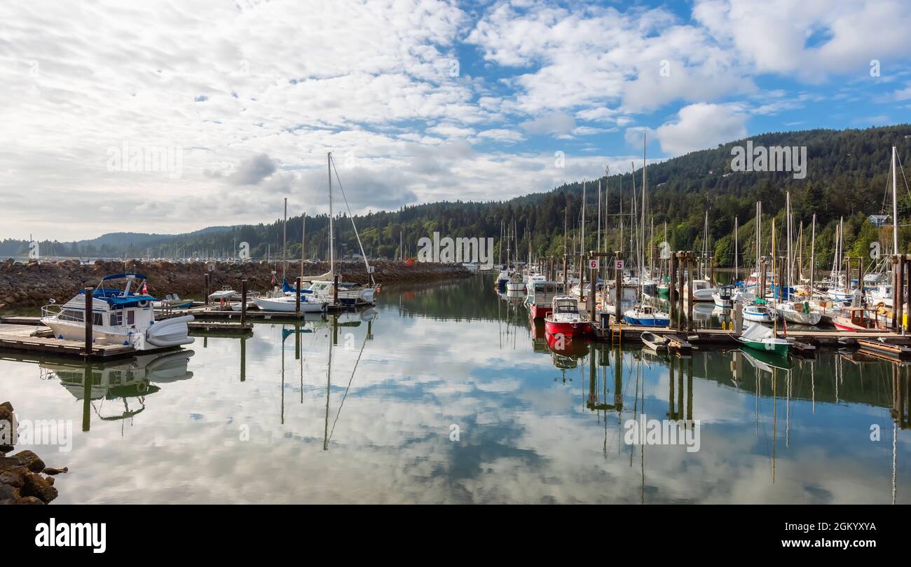 Scenic View of Sailboats and boats in a marina on the Pacific Ocean ...