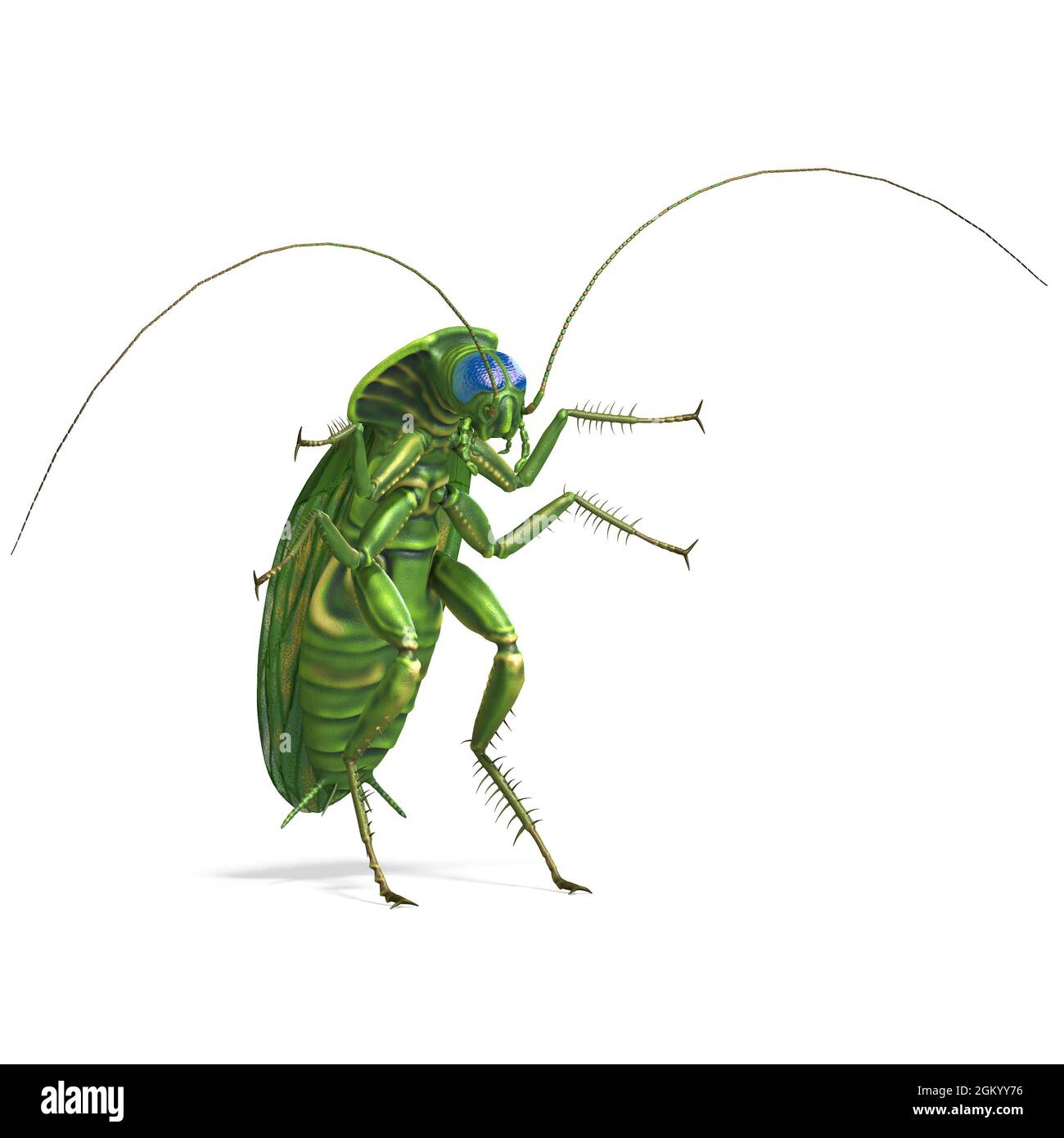 3D-illustration of a creepy cartoon cockroach. isolated rendering ...