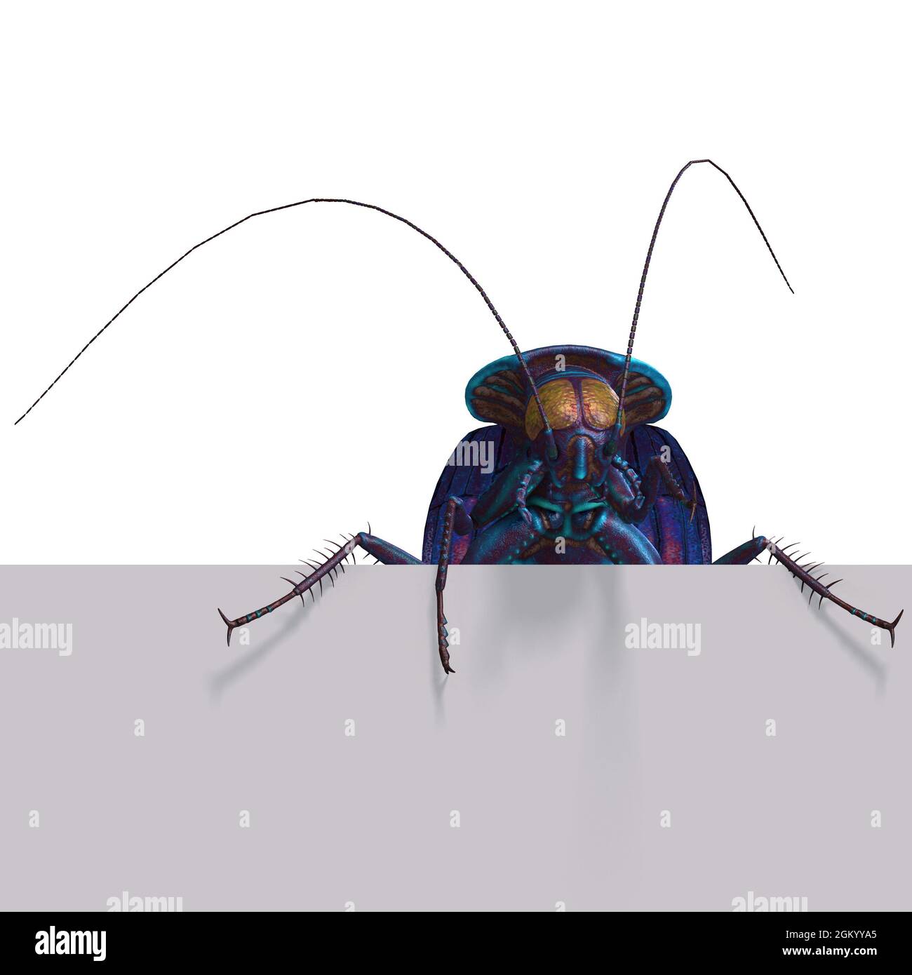 3D-illustration of a creepy cartoon cockroach. isolated rendering ...