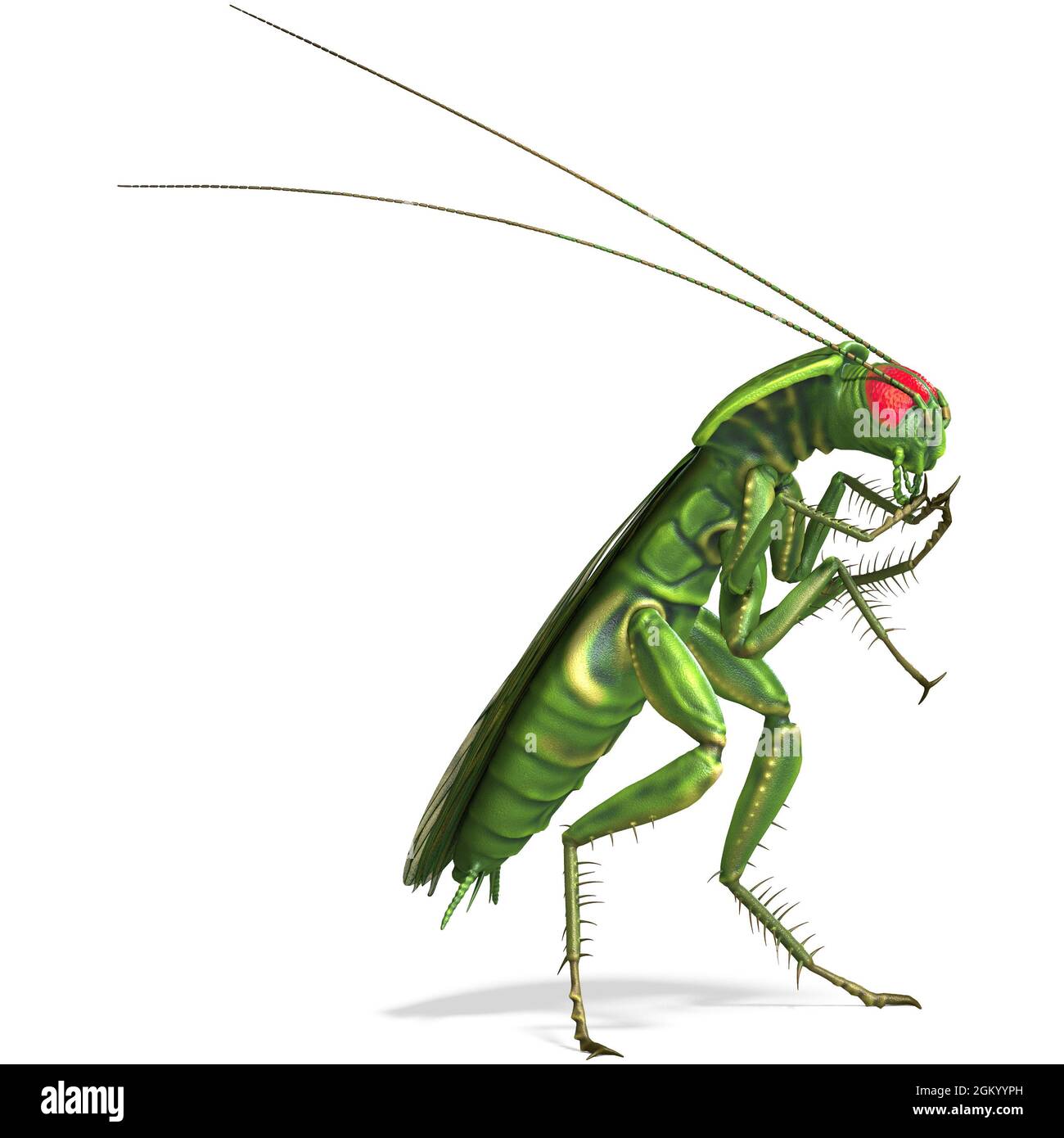 3D-illustration of a creepy cartoon cockroach. isolated rendering ...