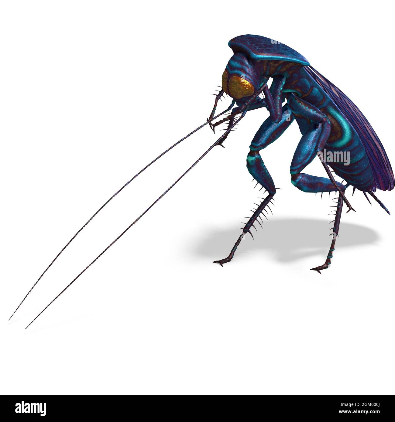Cartoon cockroach hi-res stock photography and images - Alamy