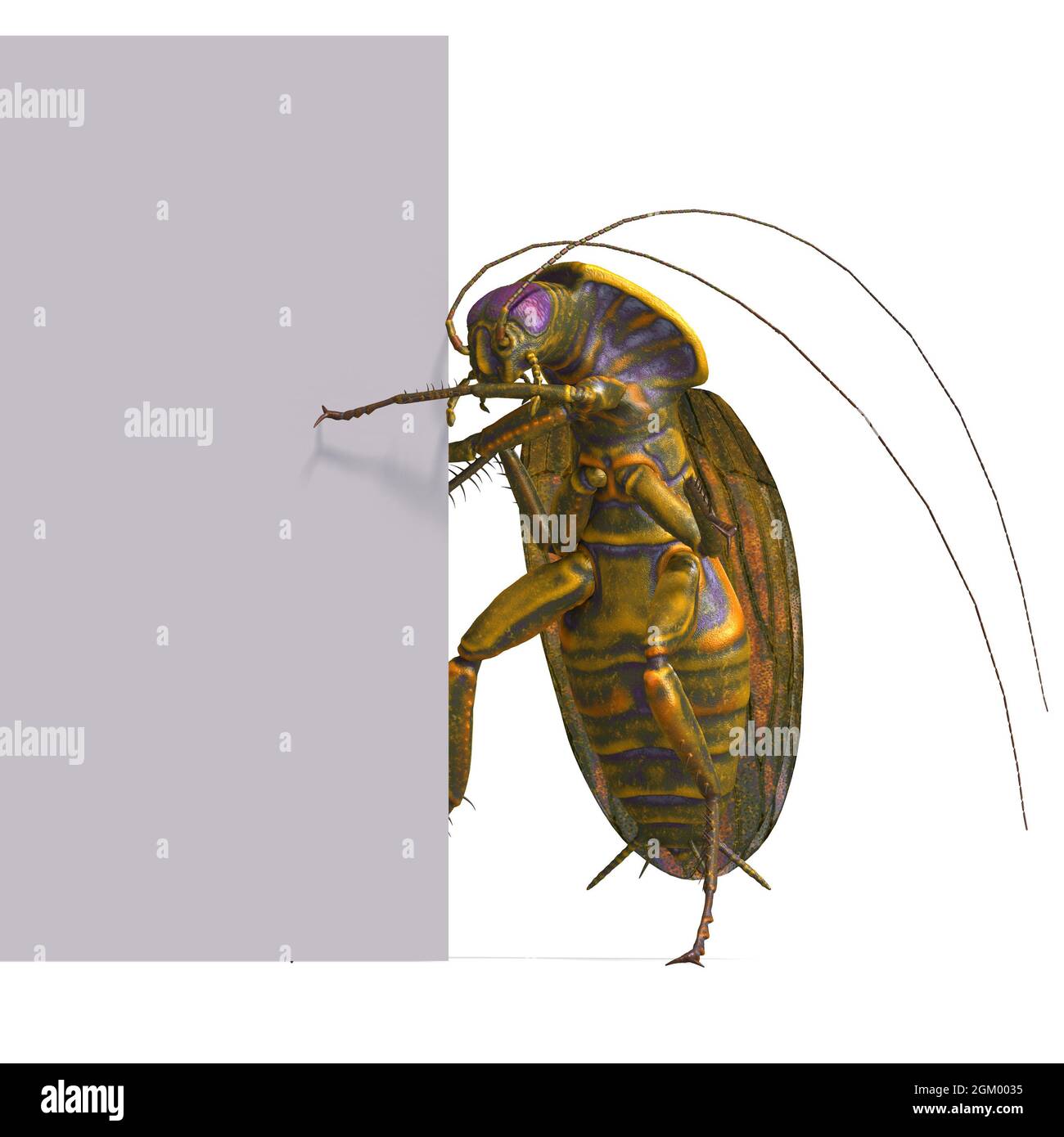 Cartoon character creeping hi-res stock photography and images - Alamy