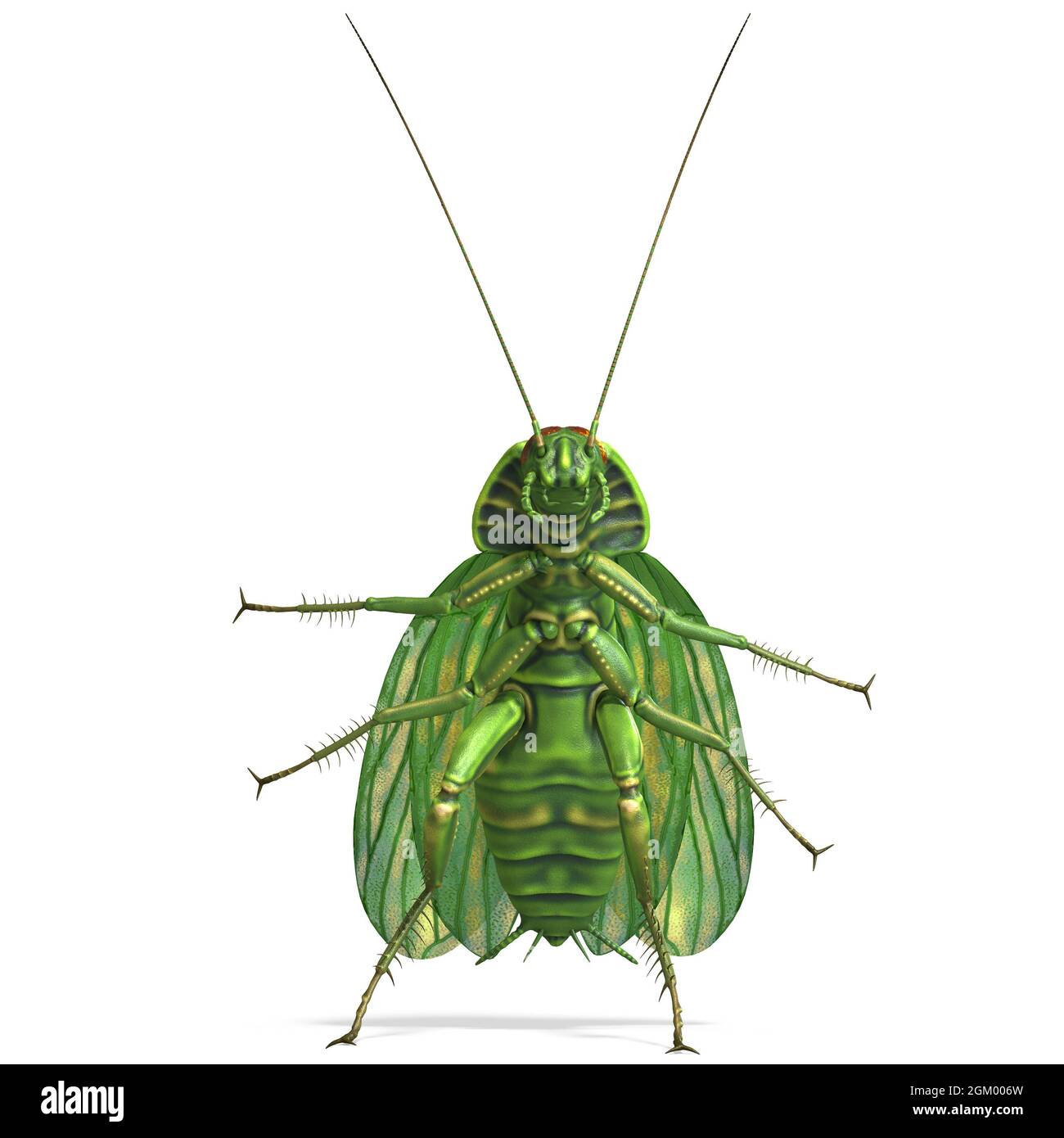 Cartoon cockroach hi-res stock photography and images - Alamy