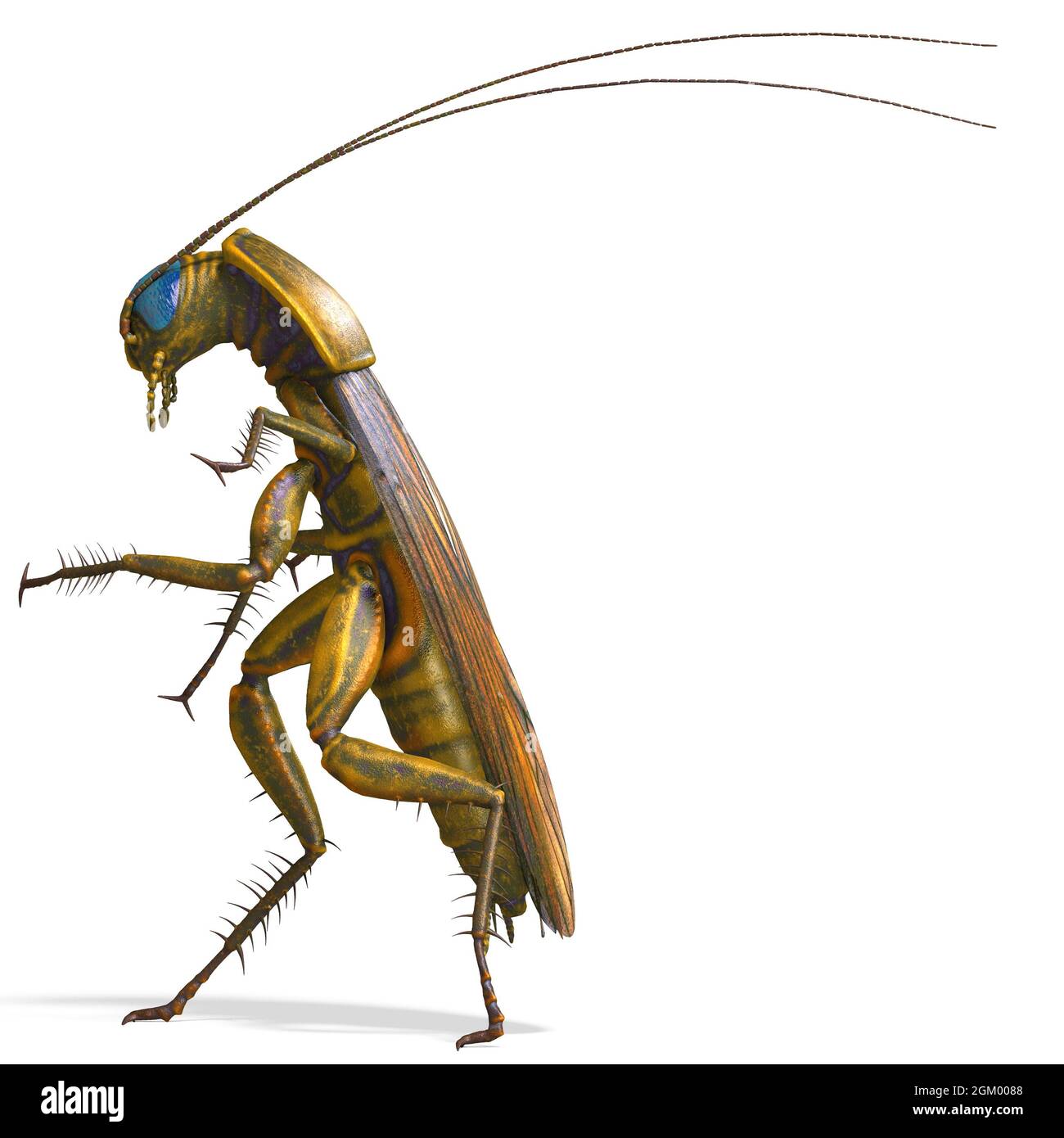3D-illustration of a creepy cartoon cockroach. isolated rendering ...