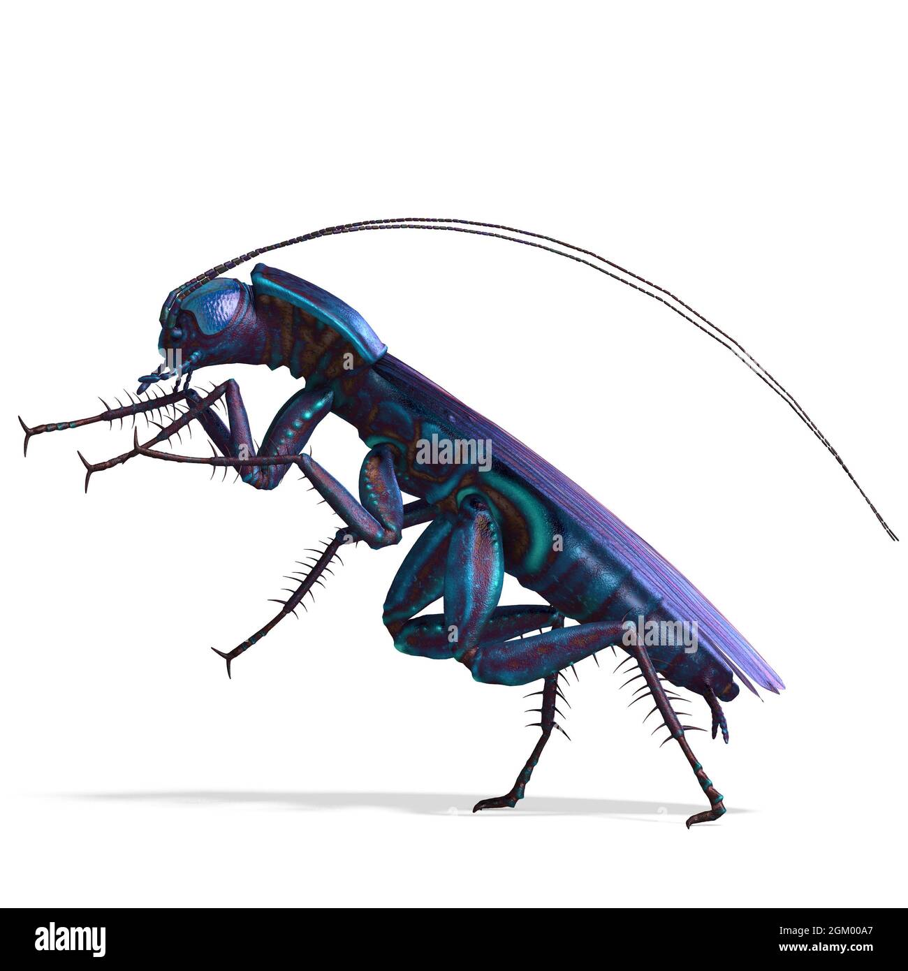 3D-illustration of a creepy cartoon cockroach. isolated rendering ...