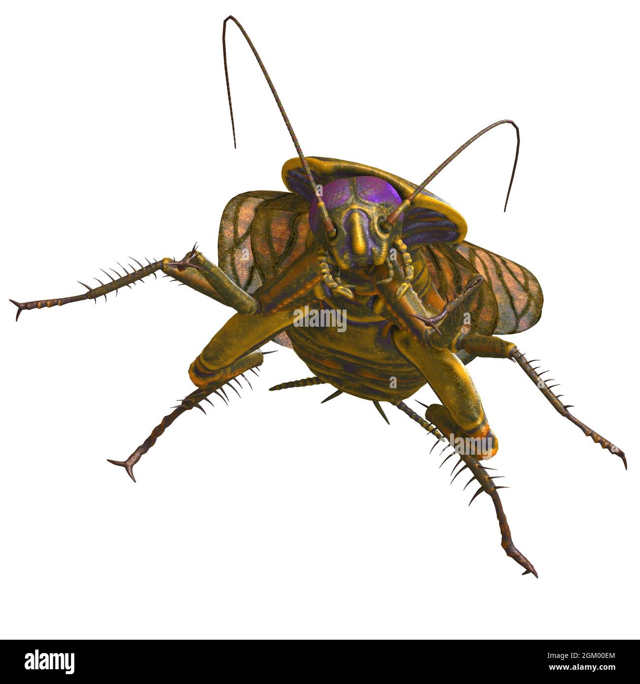 3D-illustration of a creepy cartoon cockroach. isolated rendering ...