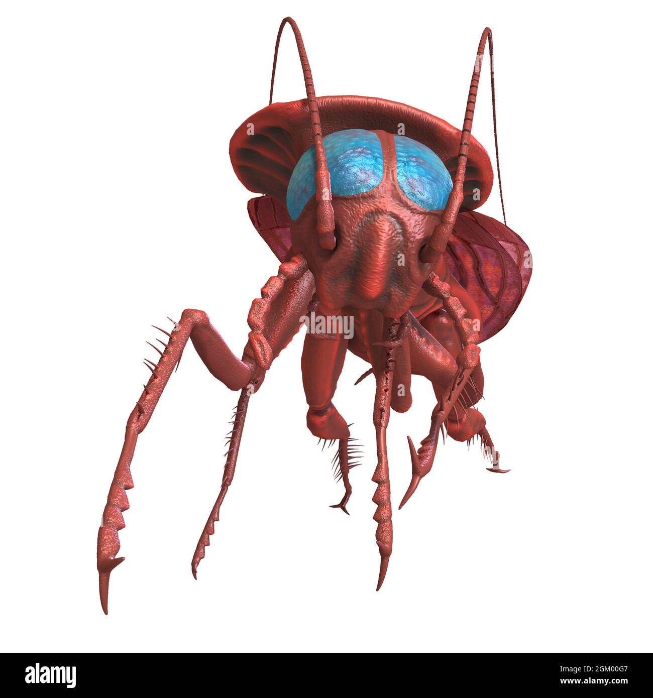 Creepy Cartoon Animals