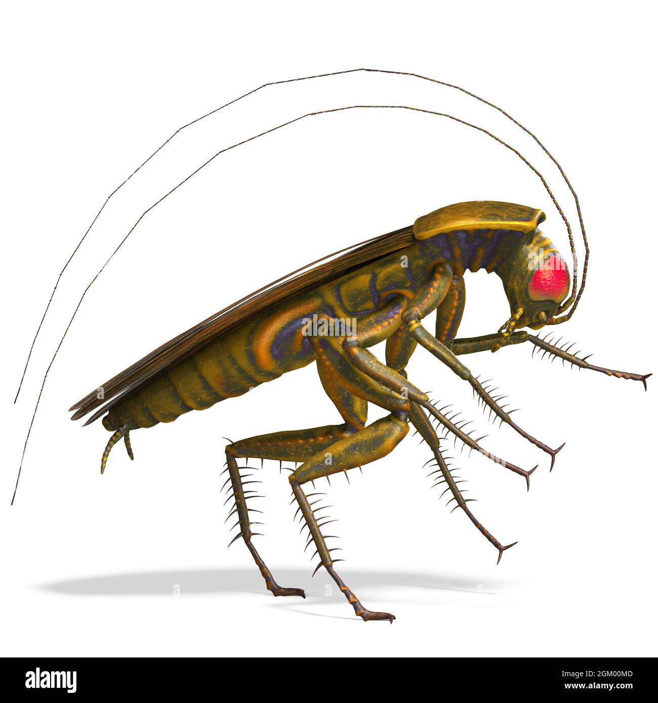 3D-illustration of a creepy cartoon cockroach. isolated rendering ...
