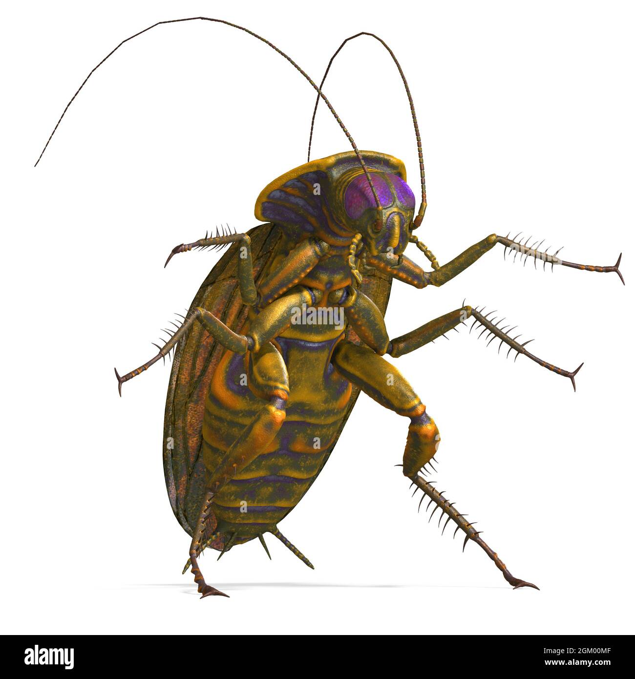3D-illustration of a creepy cartoon cockroach. isolated rendering ...