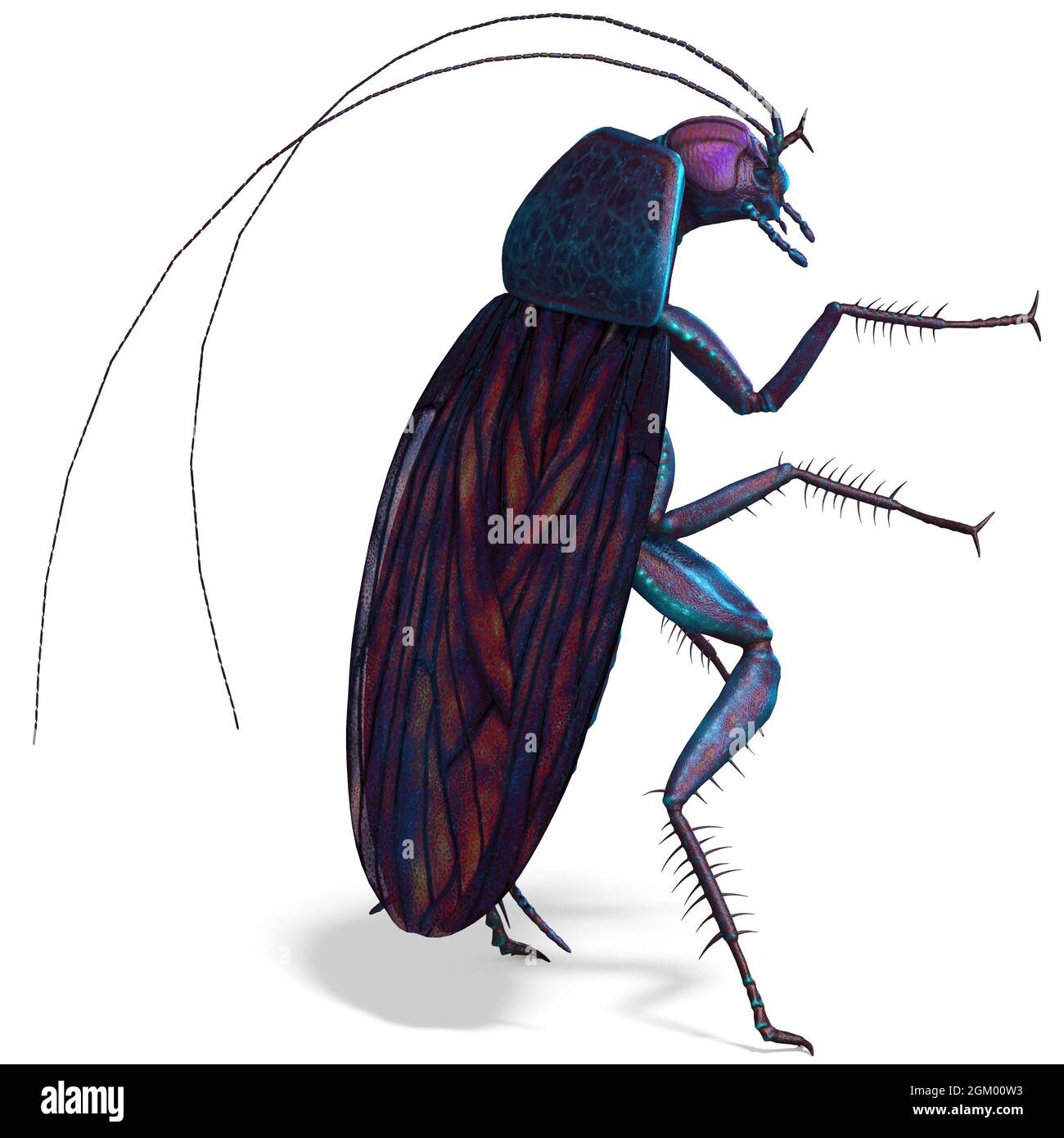 3D-illustration of a creepy cartoon cockroach. isolated rendering ...