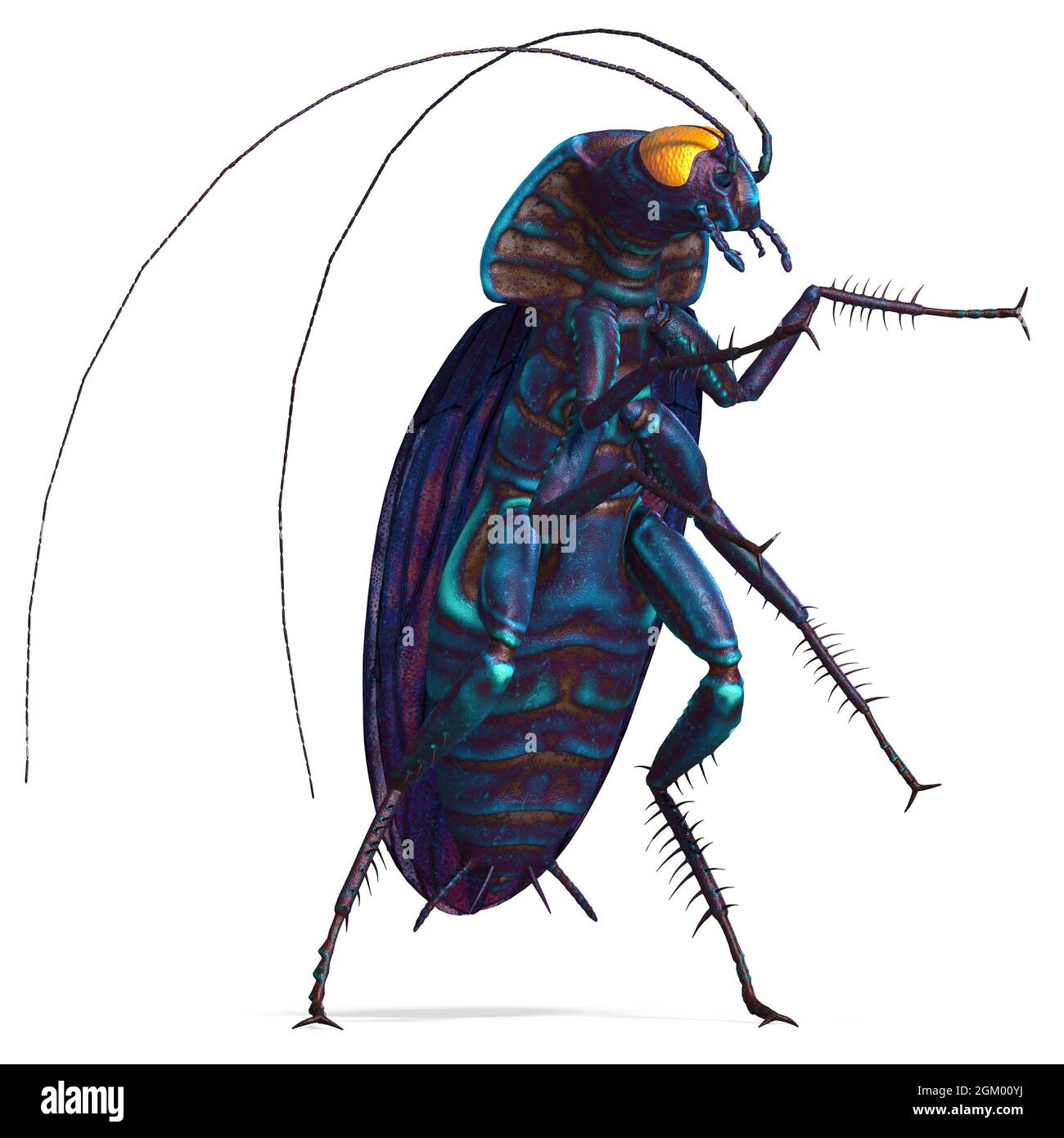 3D-illustration of a creepy cartoon cockroach. isolated rendering ...