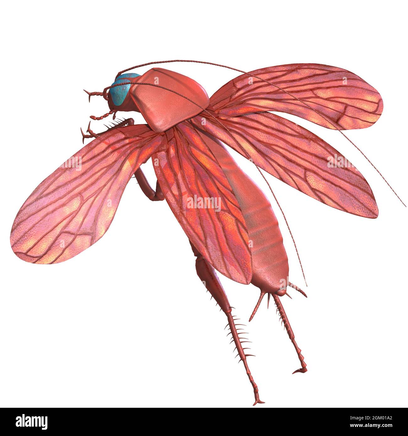 3D-illustration of a creepy cartoon cockroach. isolated rendering ...