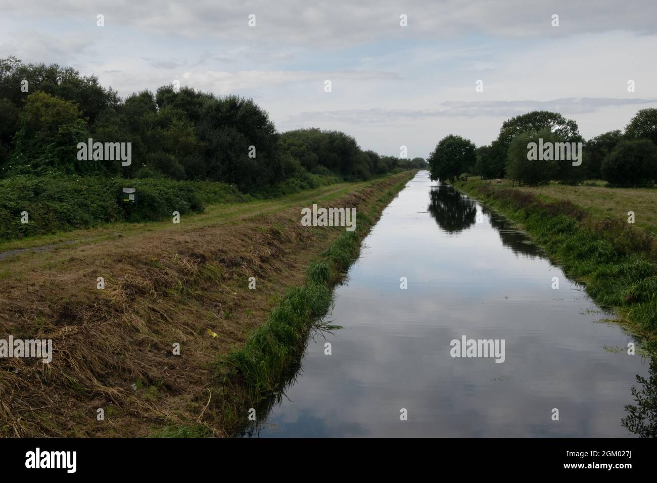 Shapwick Heath Nature Reserve, Somerset, UK Stock Photo - Alamy