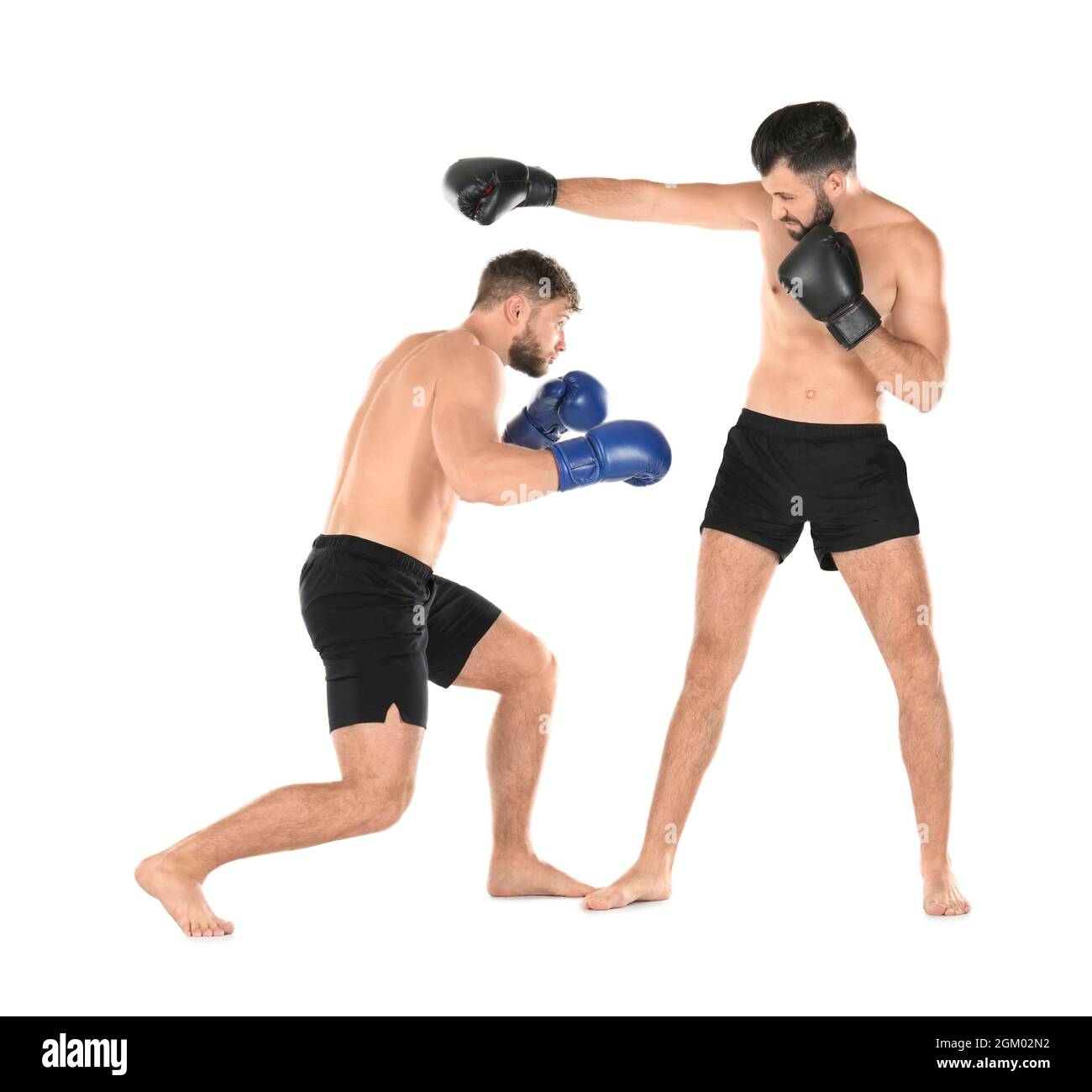 Boxers Fighting Names at Alannah Macquarie blog