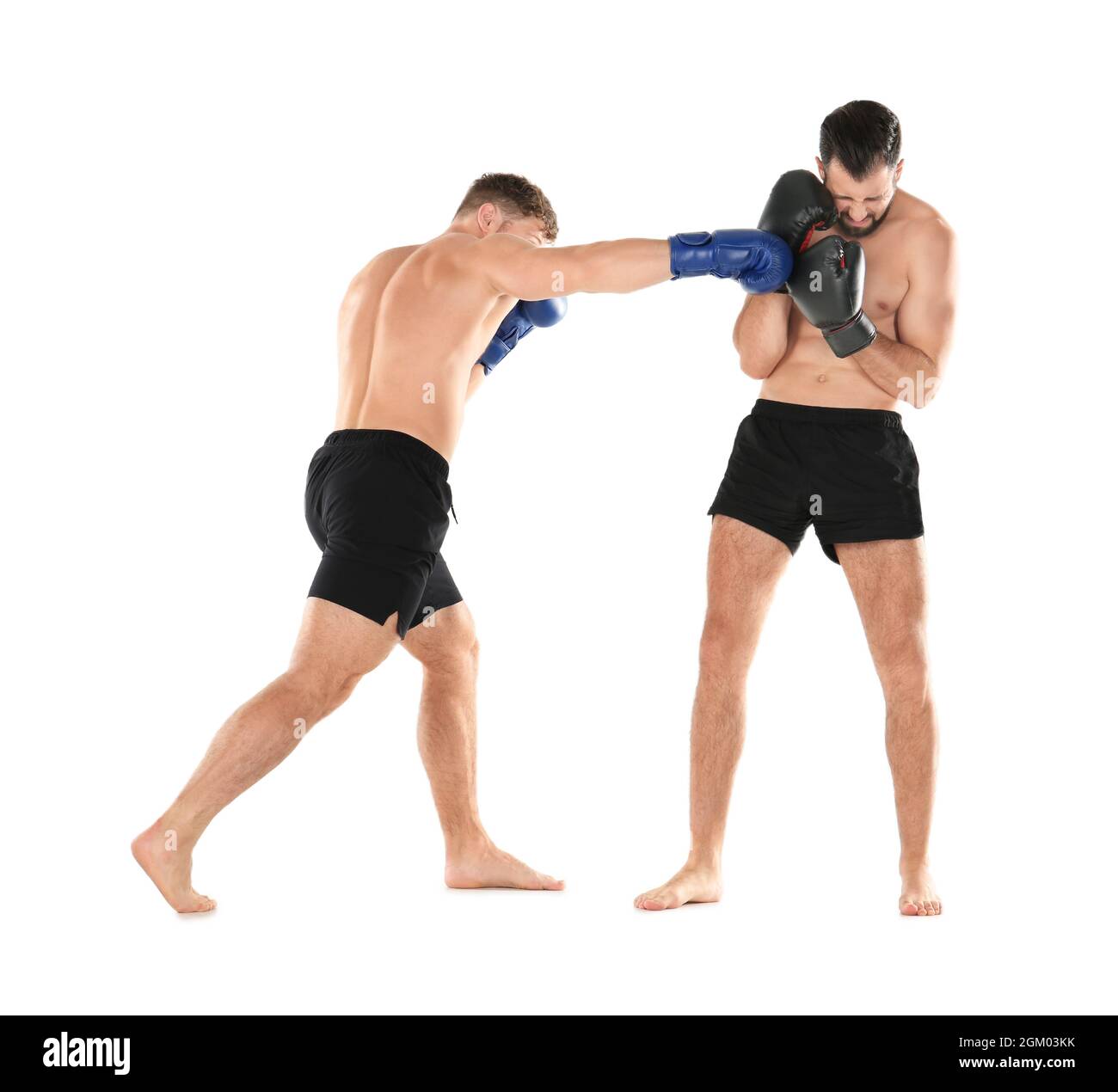 Male boxers fighting on white background Stock Photo - Alamy