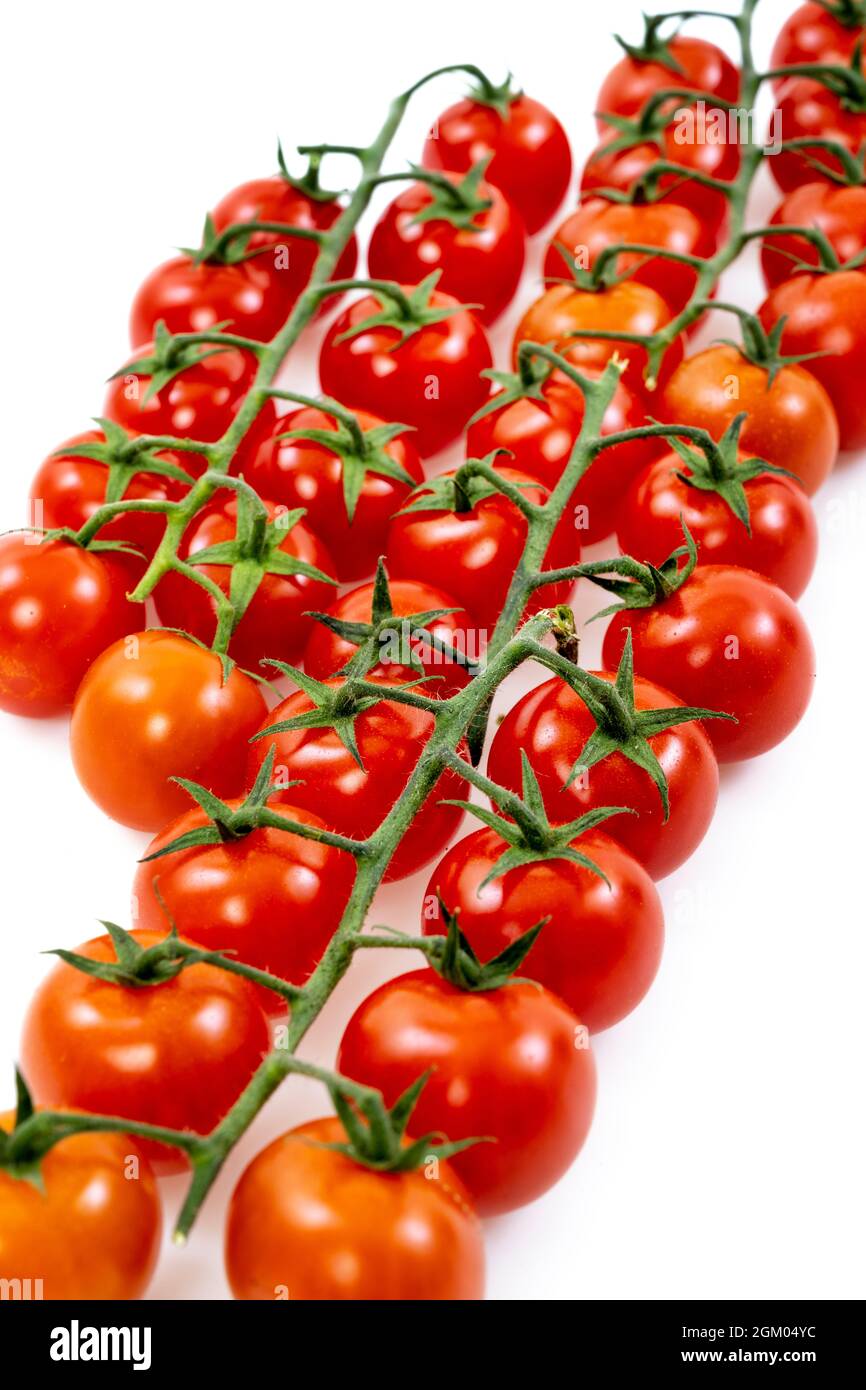 bunch of ripe cherry tomatoes with their woody arms on white table ...