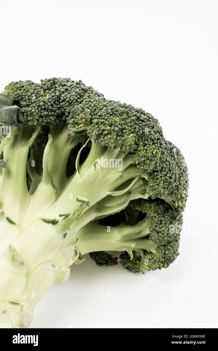 branches of raw green broccoli, source of vitamins c, a and beta ...
