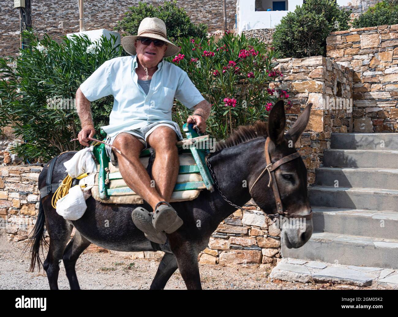 Donkey in folegandros island hi-res stock photography and images - Alamy