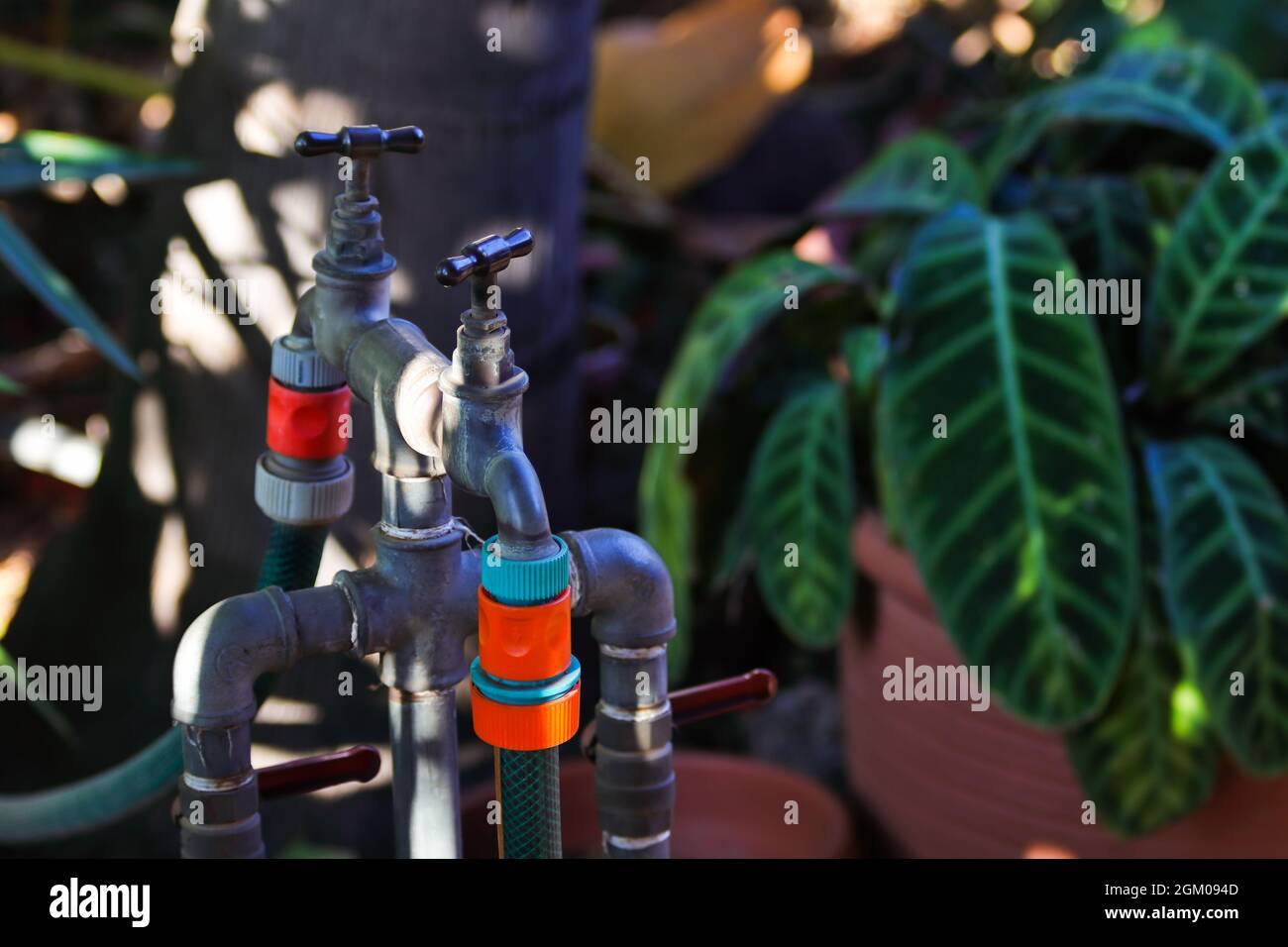 Hydrant sprinkler summer hi-res stock photography and images - Alamy