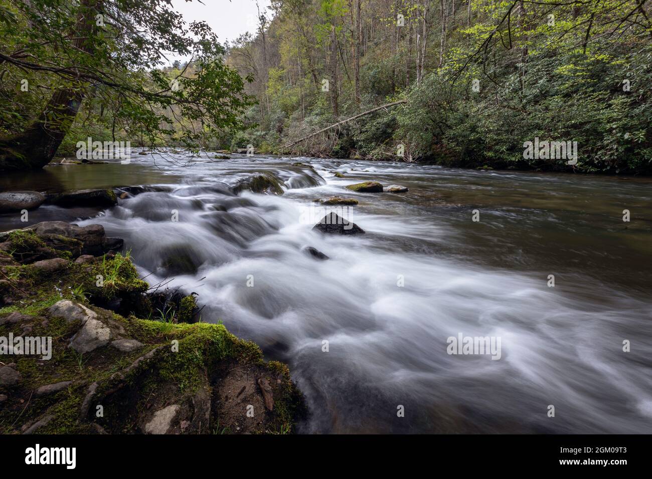 A scenic landscape of Abrams Creek along the Abrams Fall Trail located ...