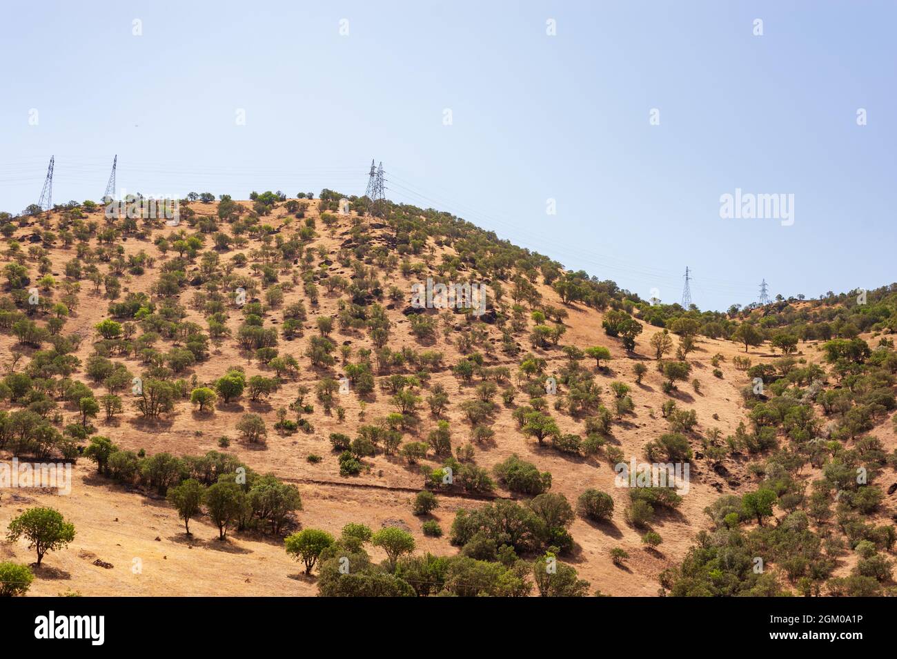 the formation of Mountains with trees, foliage, grass and blue sky in ...