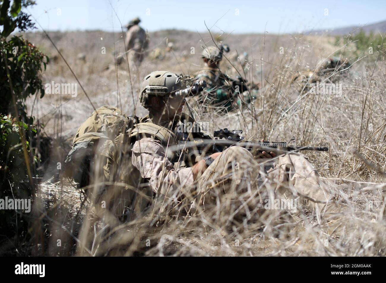 A U.S. Reconnaissance Marine with 1st Force Reconnaissance Co., 1st ...