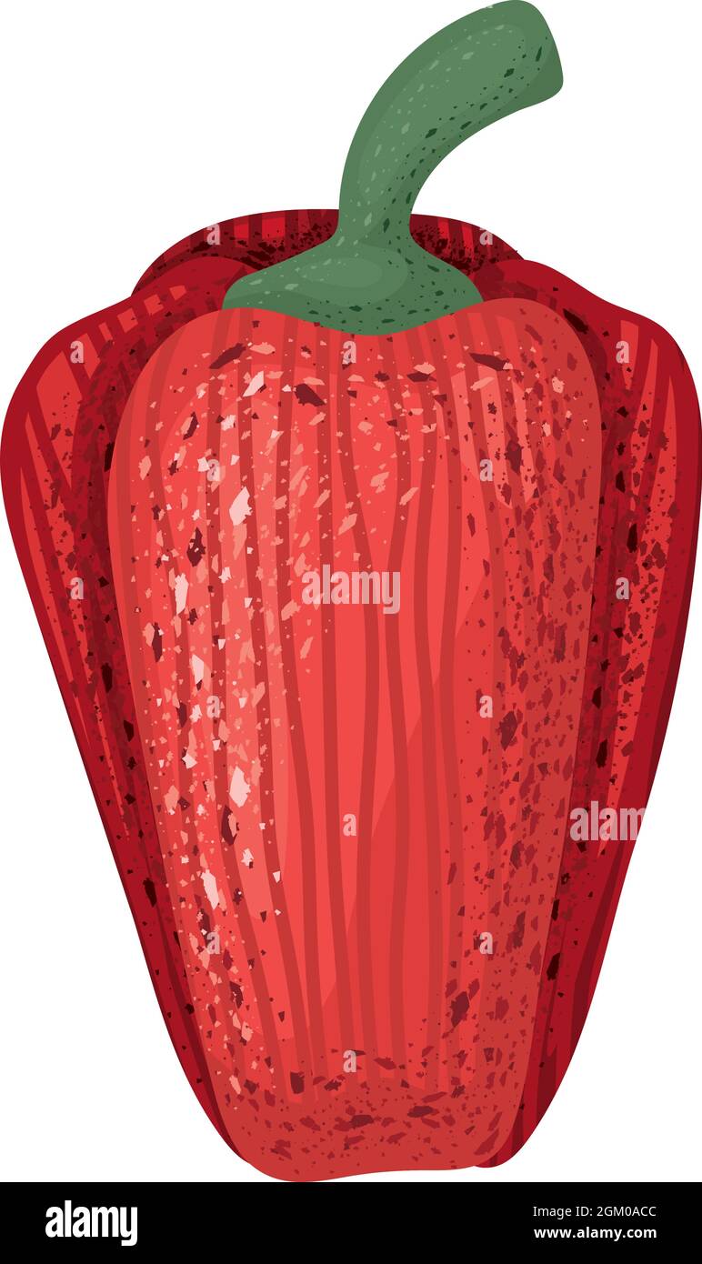 red pepper illustration Stock Vector Image & Art - Alamy
