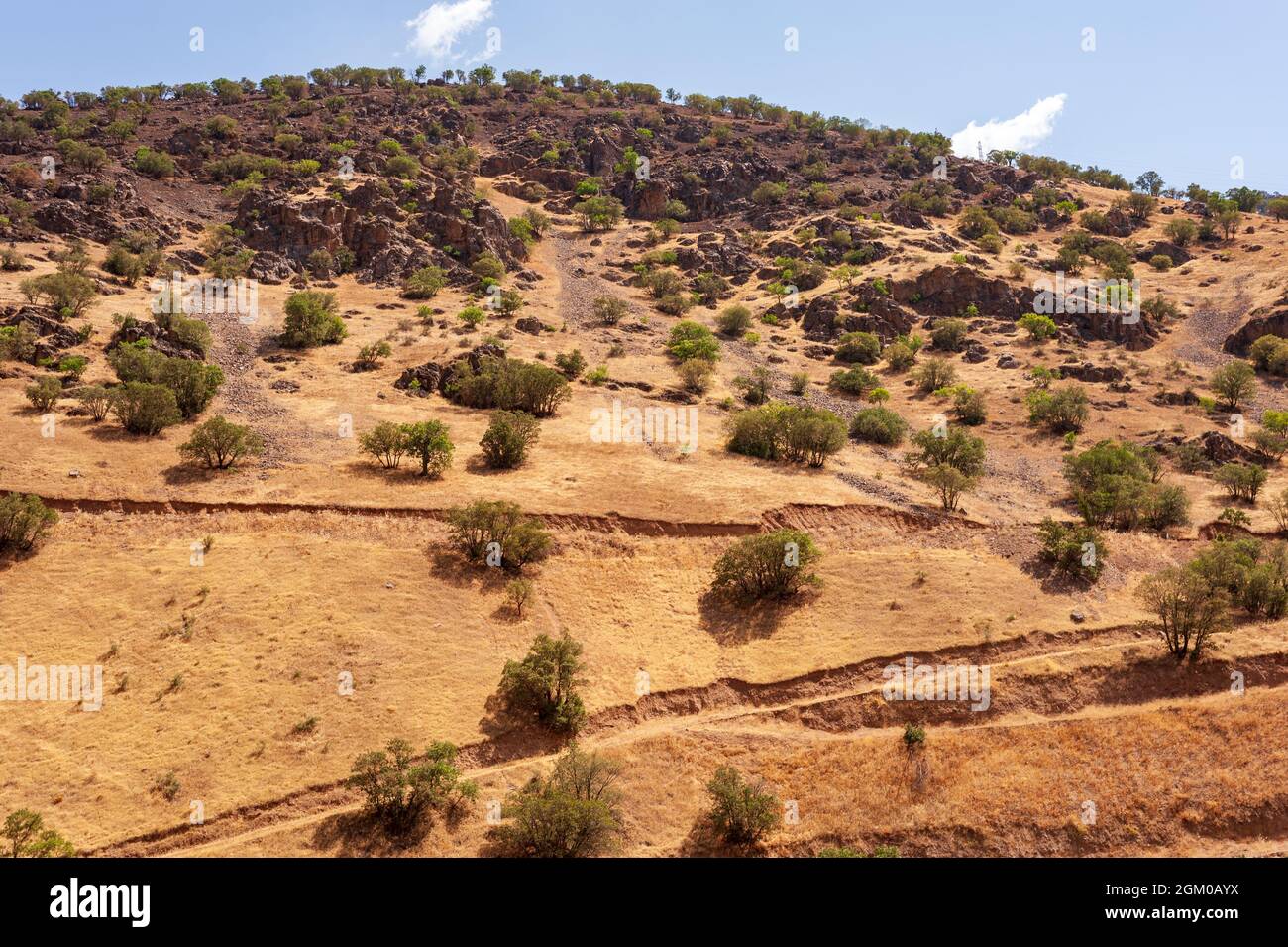 the formation of Mountains with trees, foliage, grass and blue sky in ...
