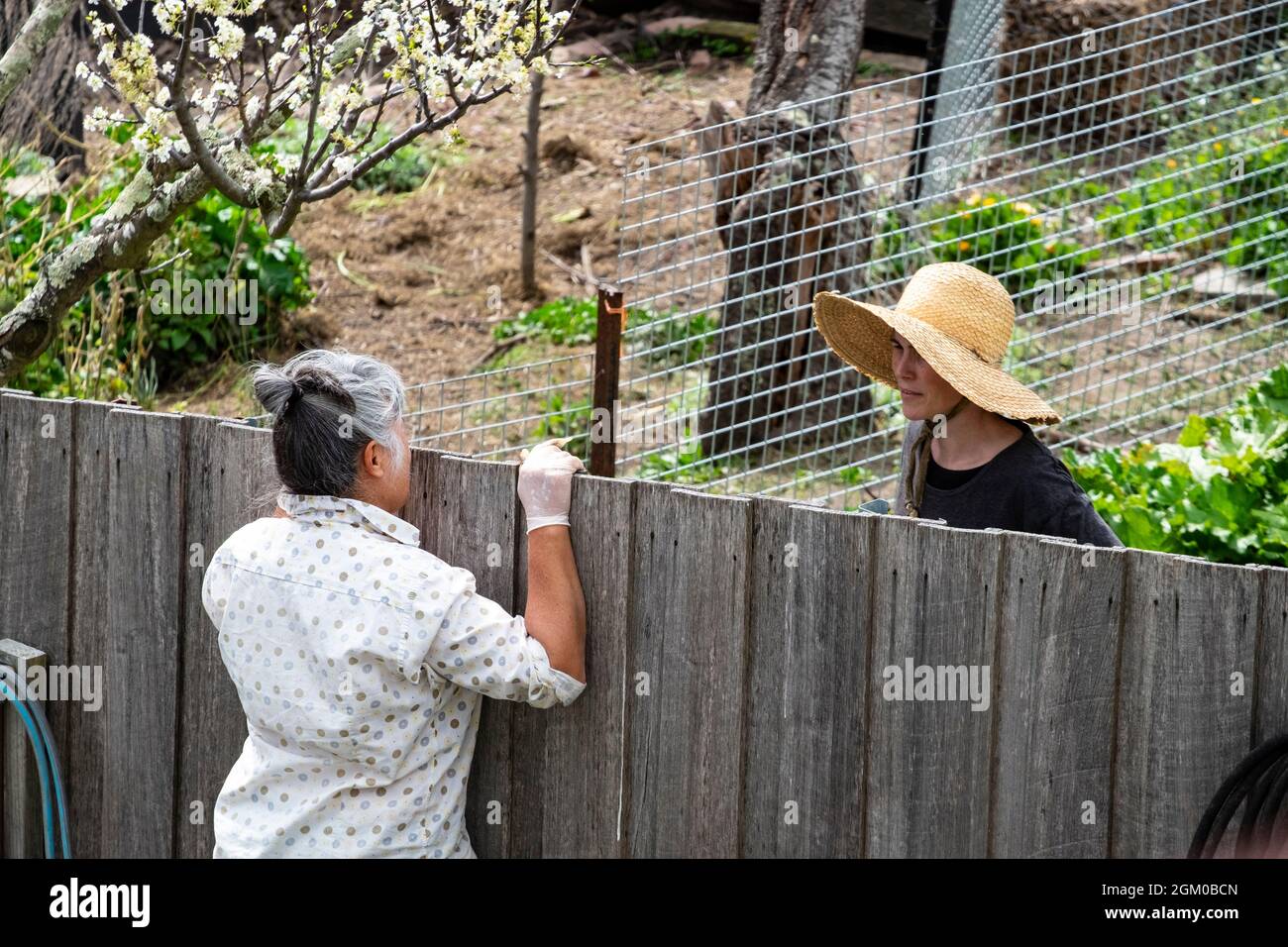 Neighbours talking over fence hi-res stock photography and images - Alamy